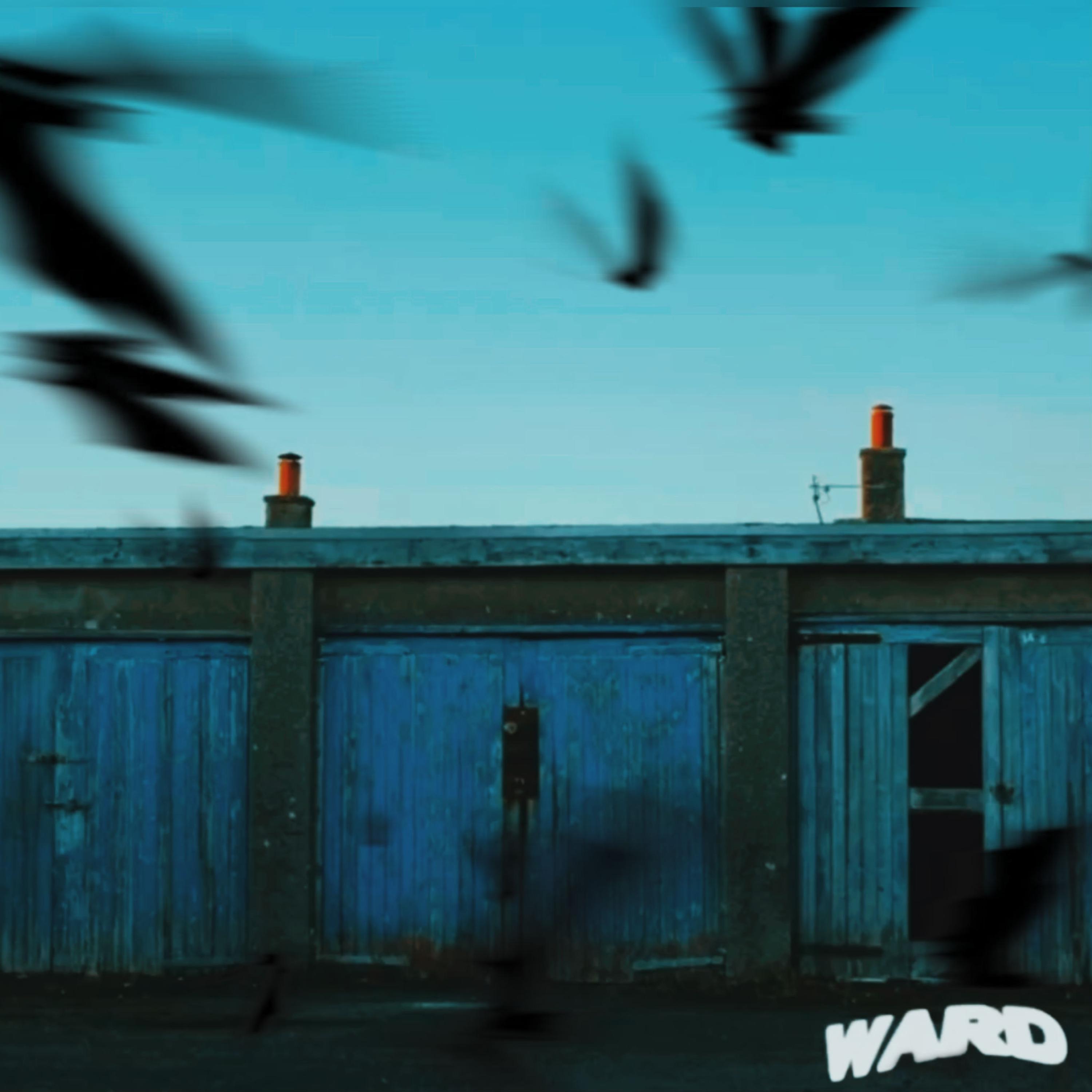 For Crying Out Loud - Ward 1 - 单曲 - 网易云音乐