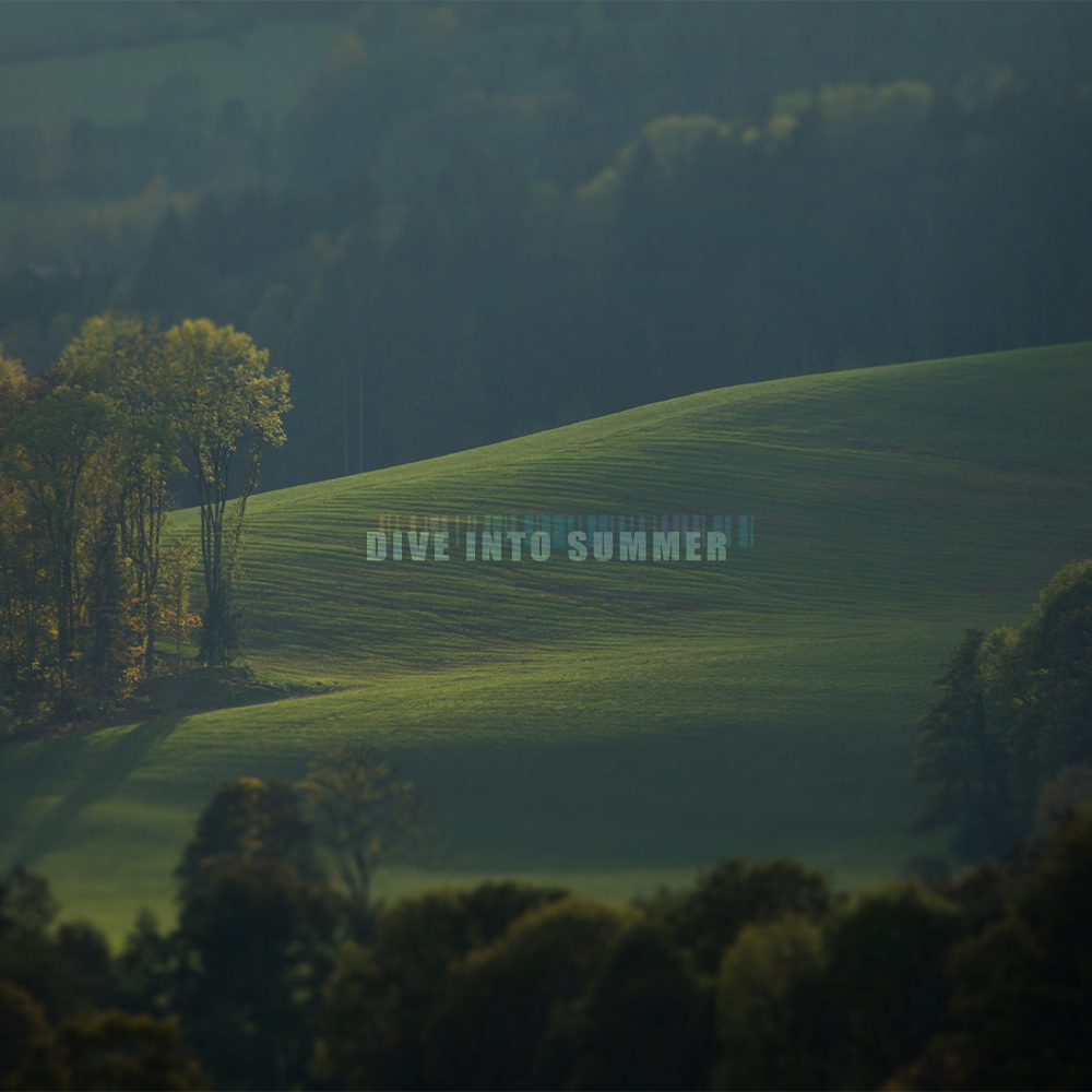 Dive Into Summer - Rilk小瑞 - 专辑 - 网易云音乐