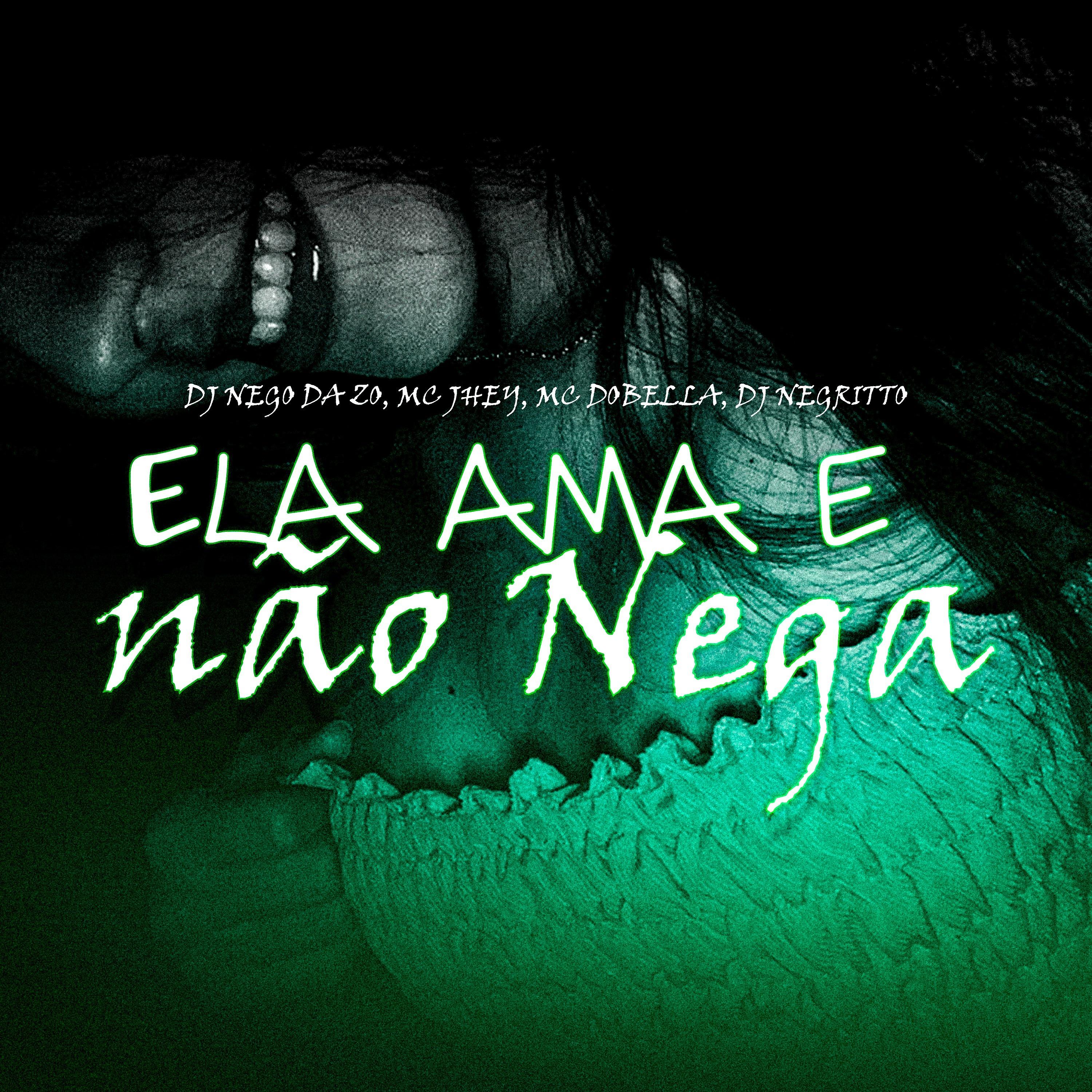 Ela ama e não Nega - DJ NEGO DA ZO - 专辑 - 网易云音乐