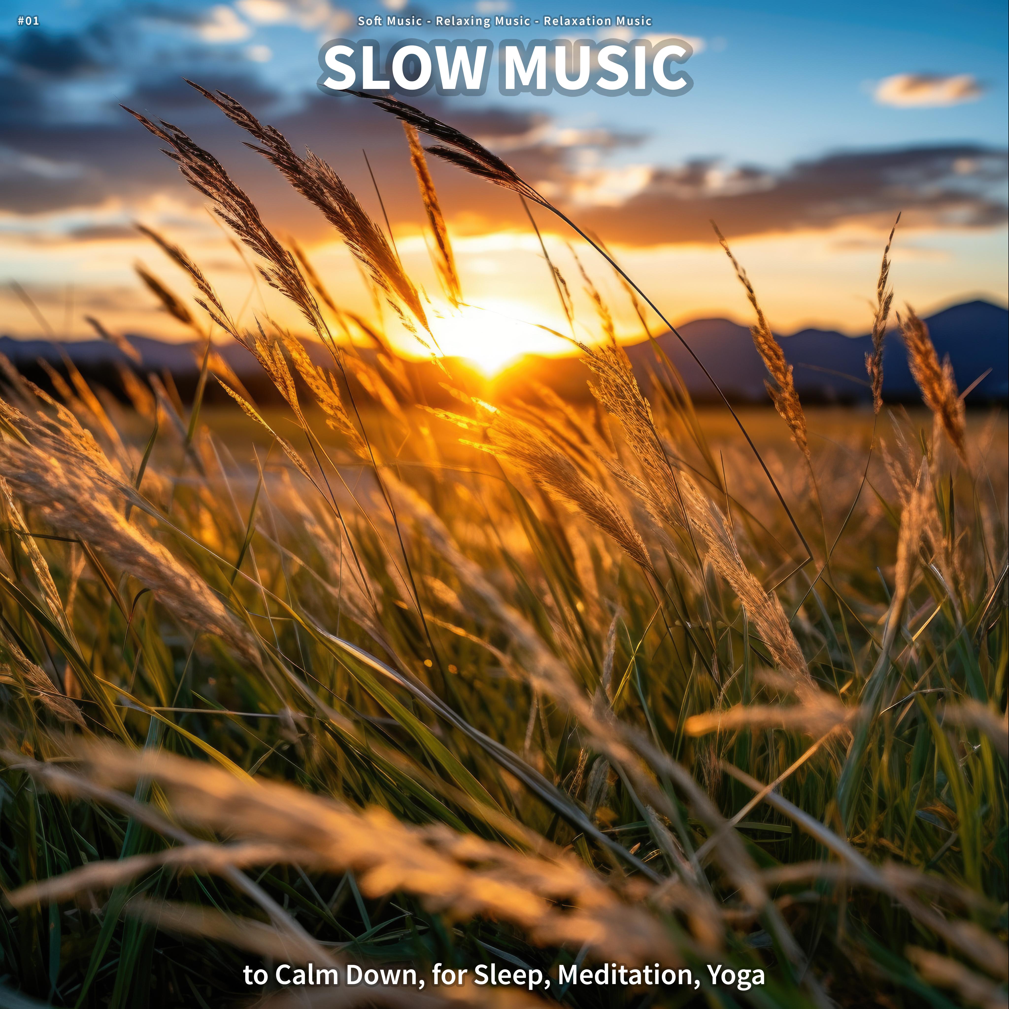 Quiet Music - Soft Music/Relaxing Music/Relaxation Music - 单曲 - 网易云音乐