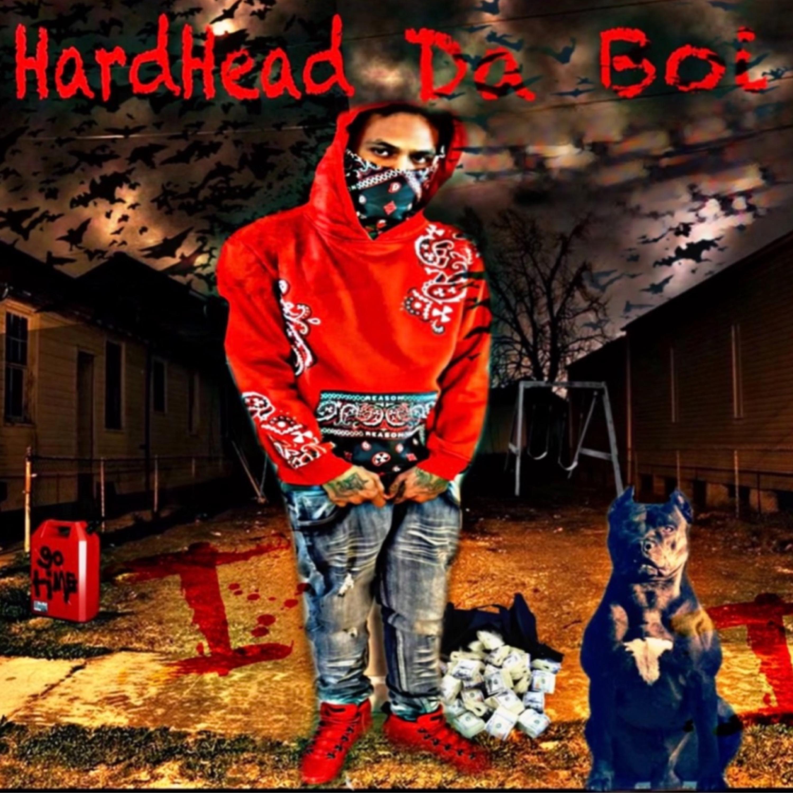 Swing or Slide - Hardhead Da BOI - 单曲 - 网易云音乐