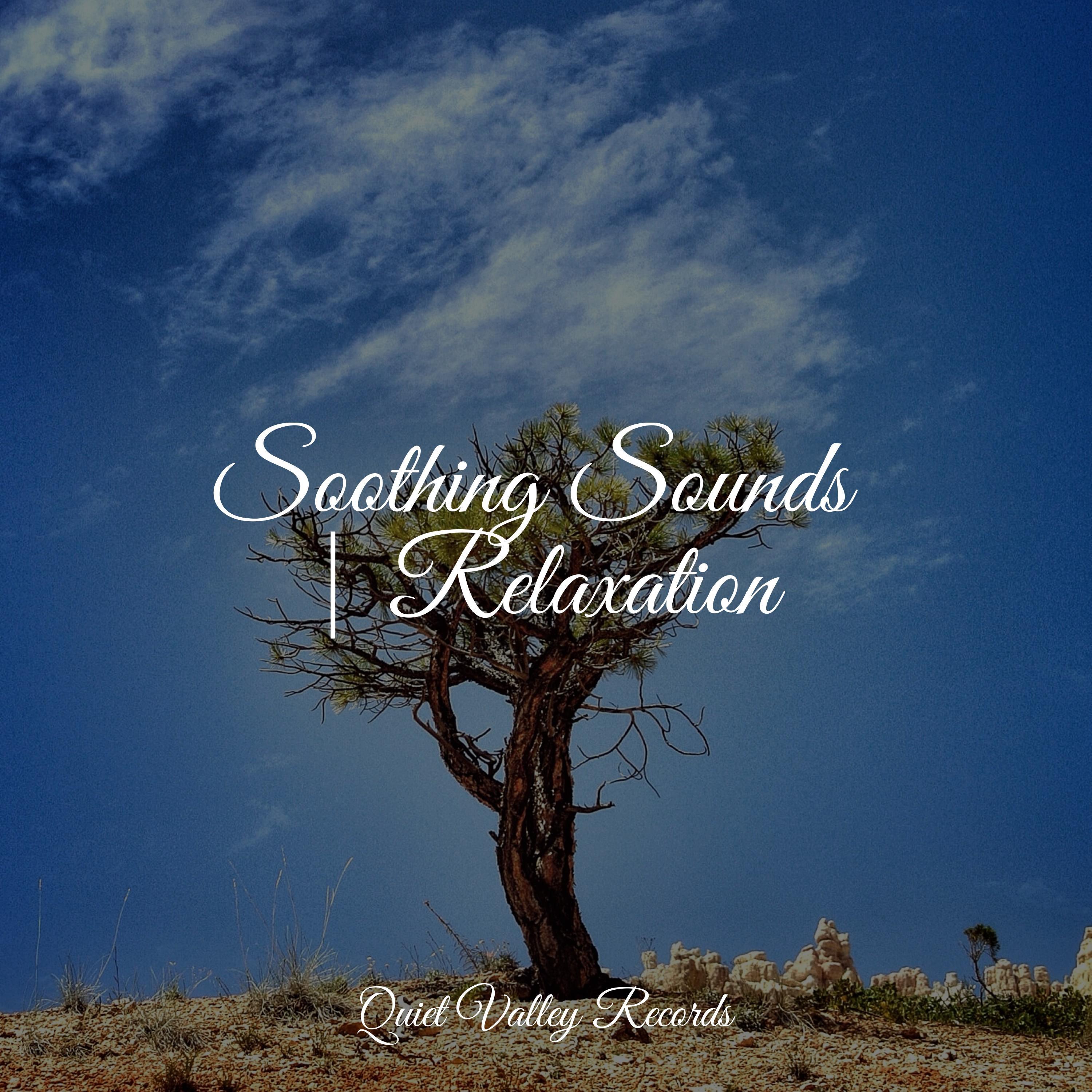 Flowers in Bloom - Musique Zen Garden/Rain Storm Sample Library/Help Me ...