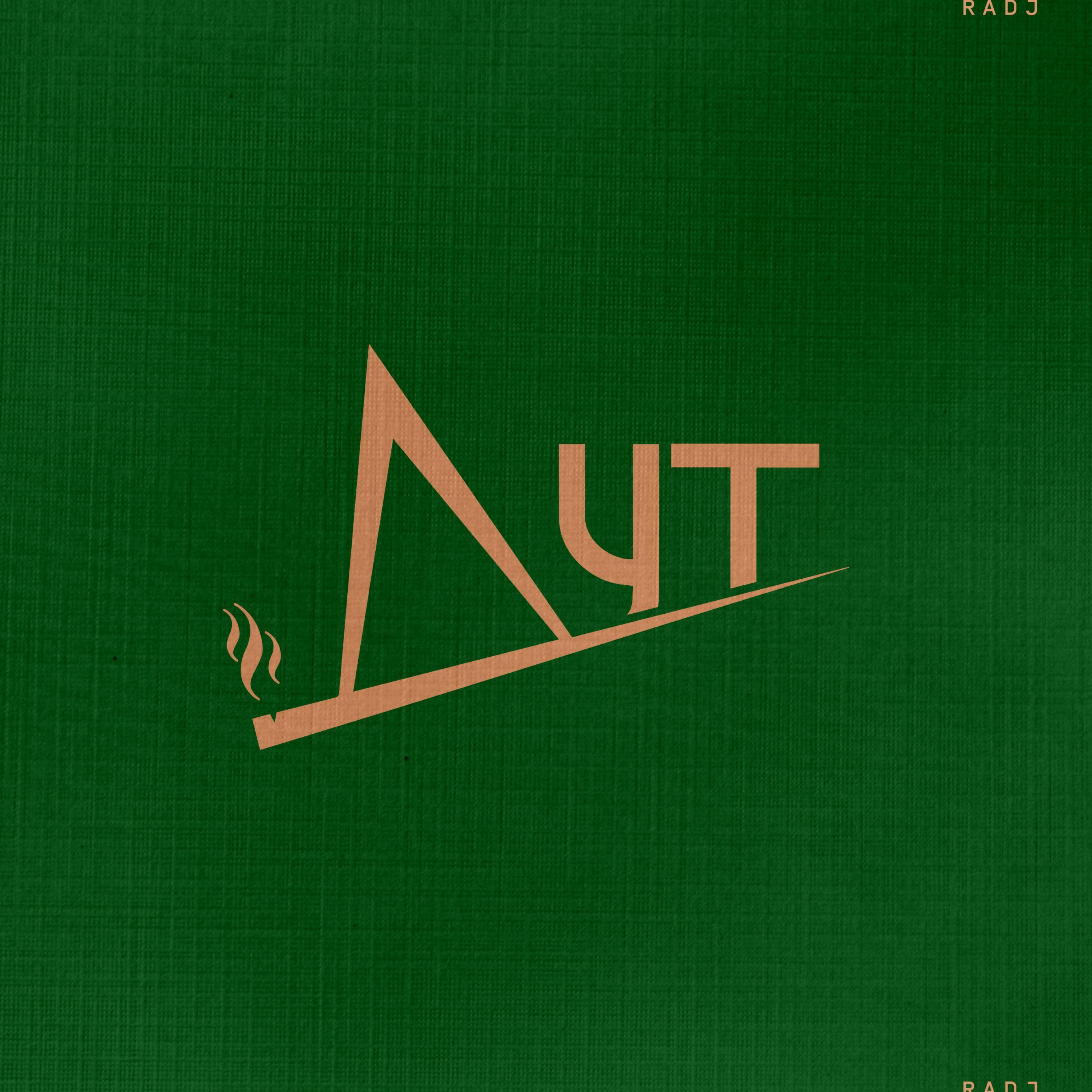 D.Y.T - Radj - 专辑 - 网易云音乐