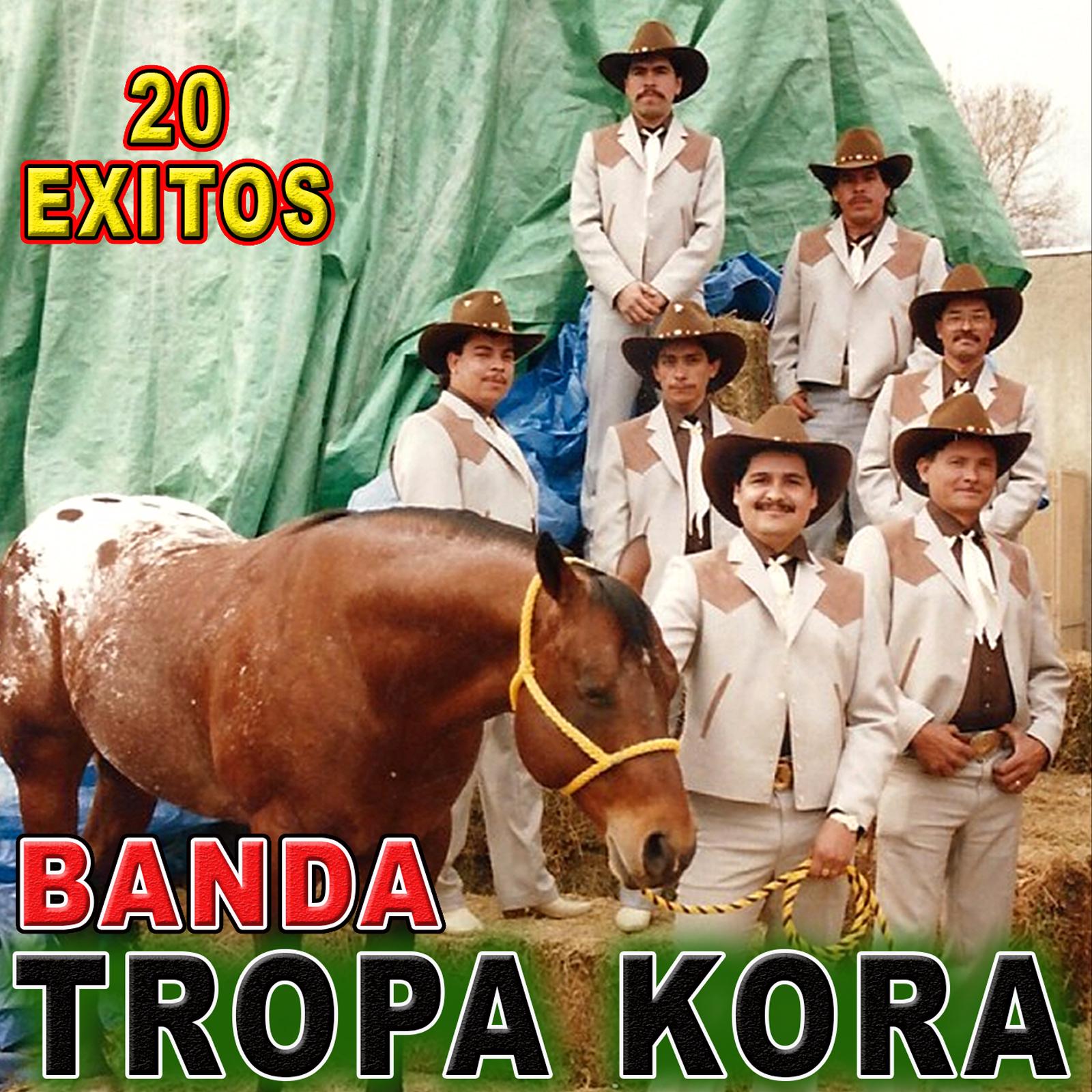 20 Exitos - Banda Tropa Kora - 专辑 - 网易云音乐
