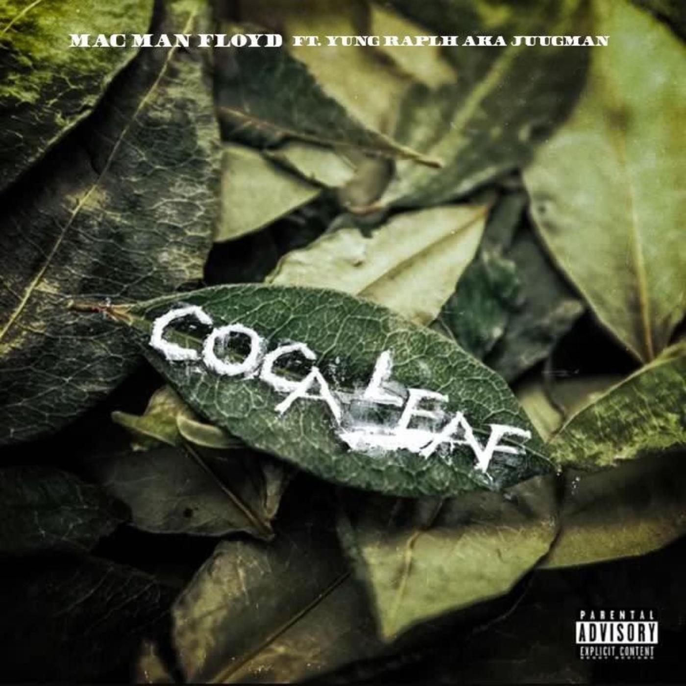 Coca Leaf (feat. Yung Ralph) - Mac Man Floyd/Yung Ralph - 单曲 - 网易云音乐