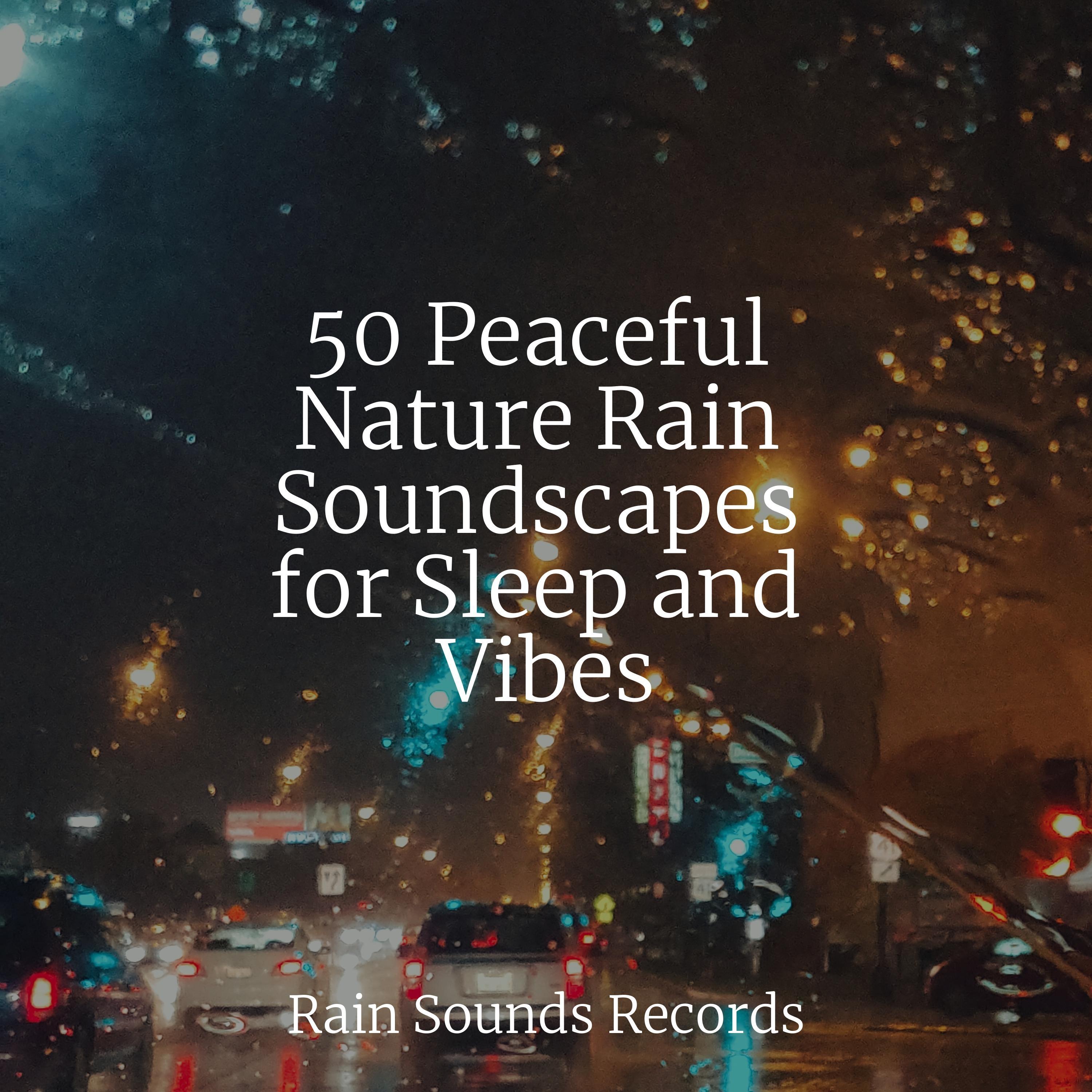 50 Peaceful Nature Rain Soundscapes for Sleep and Vibes - Cascada de ...
