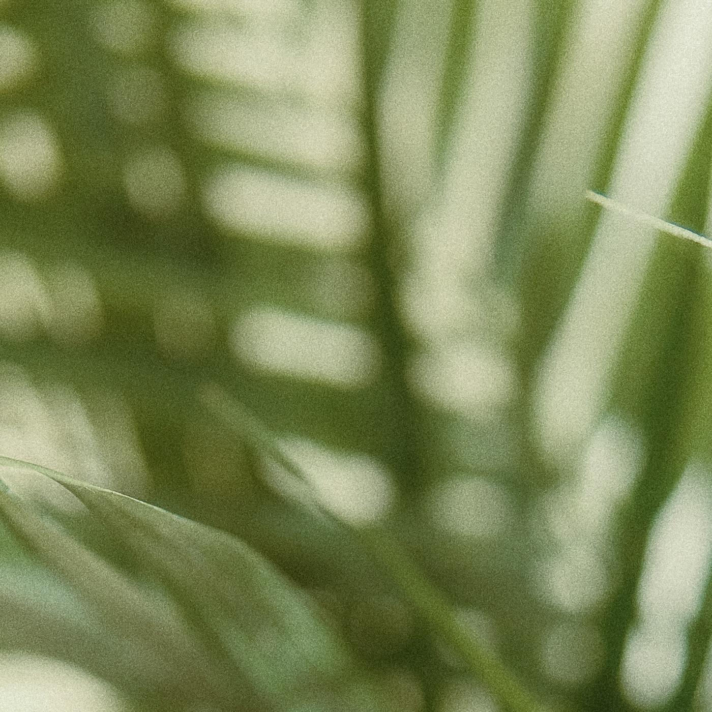 A World Of Calm - Spa Music Relaxation/Yoga/Spa - 单曲 - 网易云音乐