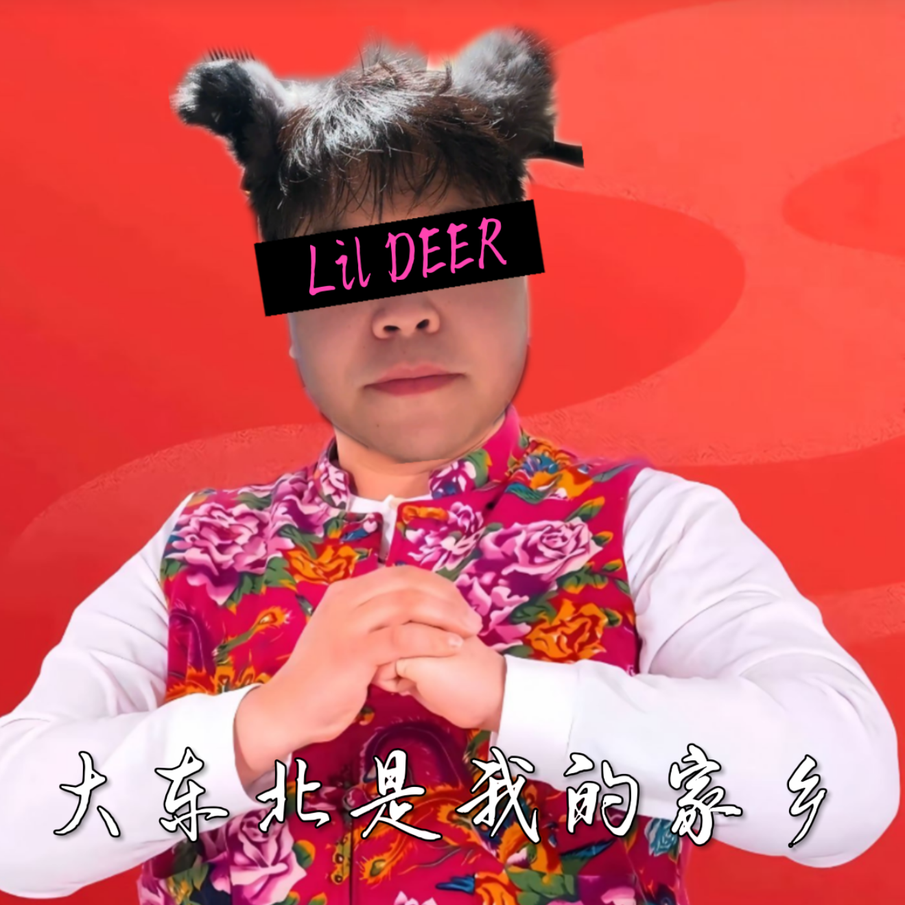 大东北我的家乡 (AI Lil DEER Cover) - 晴烟 - 单曲 - 网易云音乐