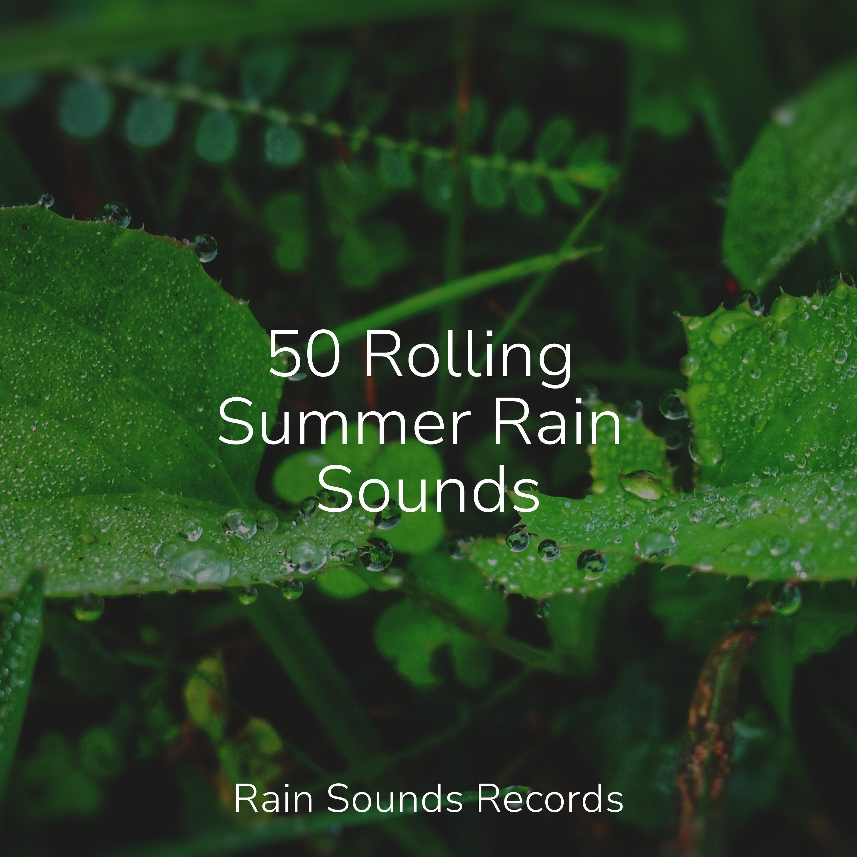 50 Rolling Summer Rain Sounds - Deep Sleep Relaxation - 专辑 - 网易云音乐