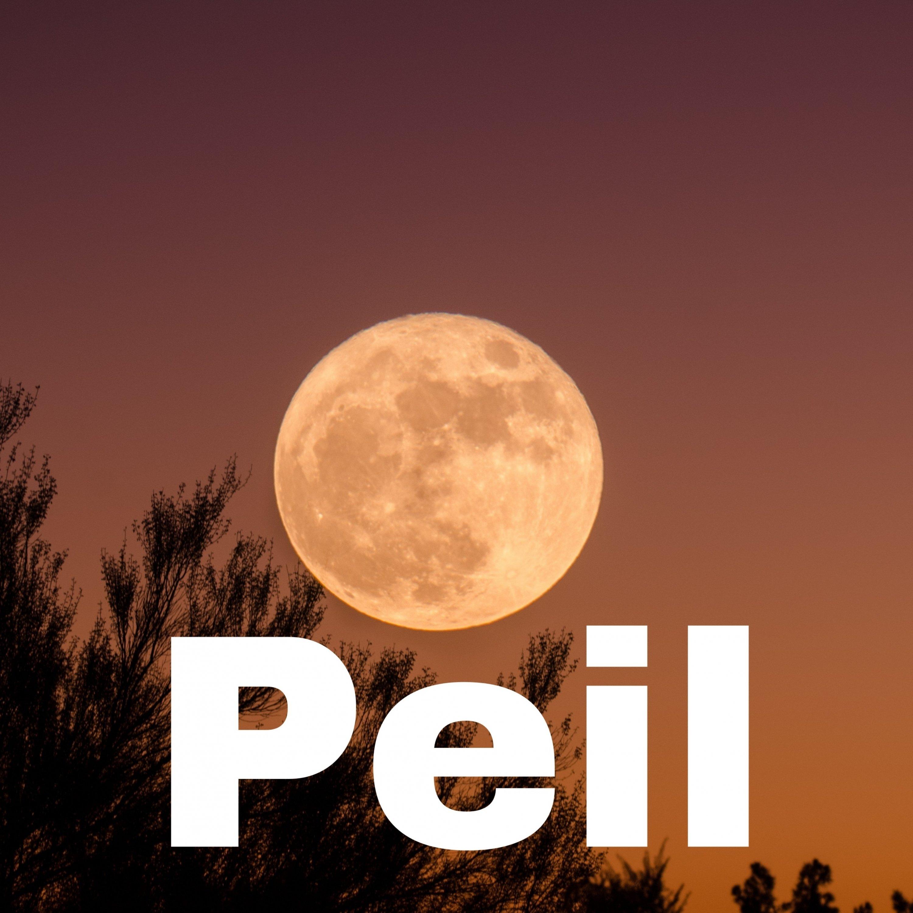 Peil - Supergirl - 专辑 - 网易云音乐