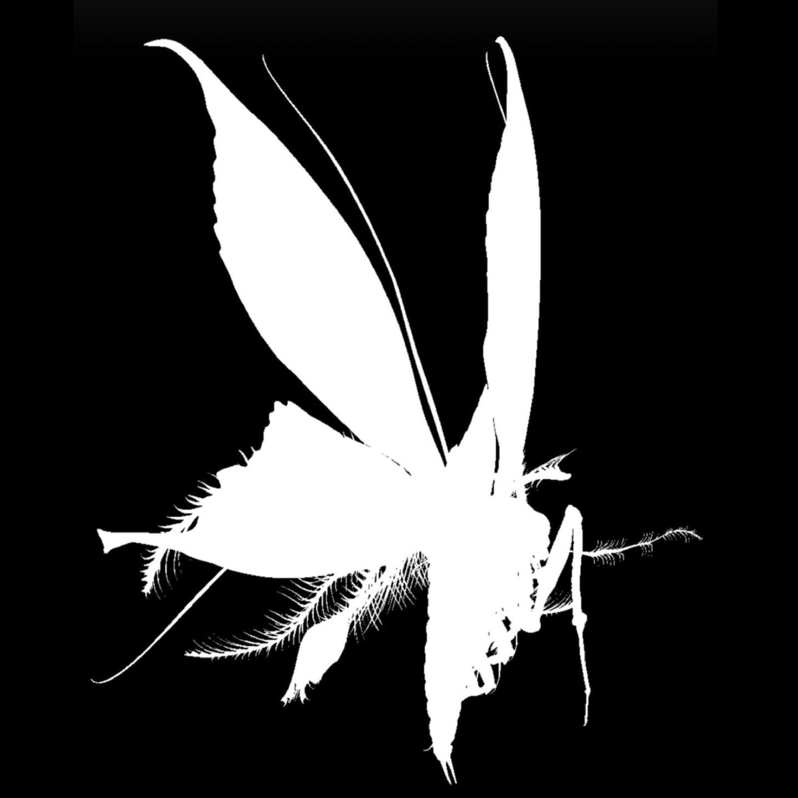 MOTHZ MOSH PiT II - BADBOYKING - 单曲 - 网易云音乐