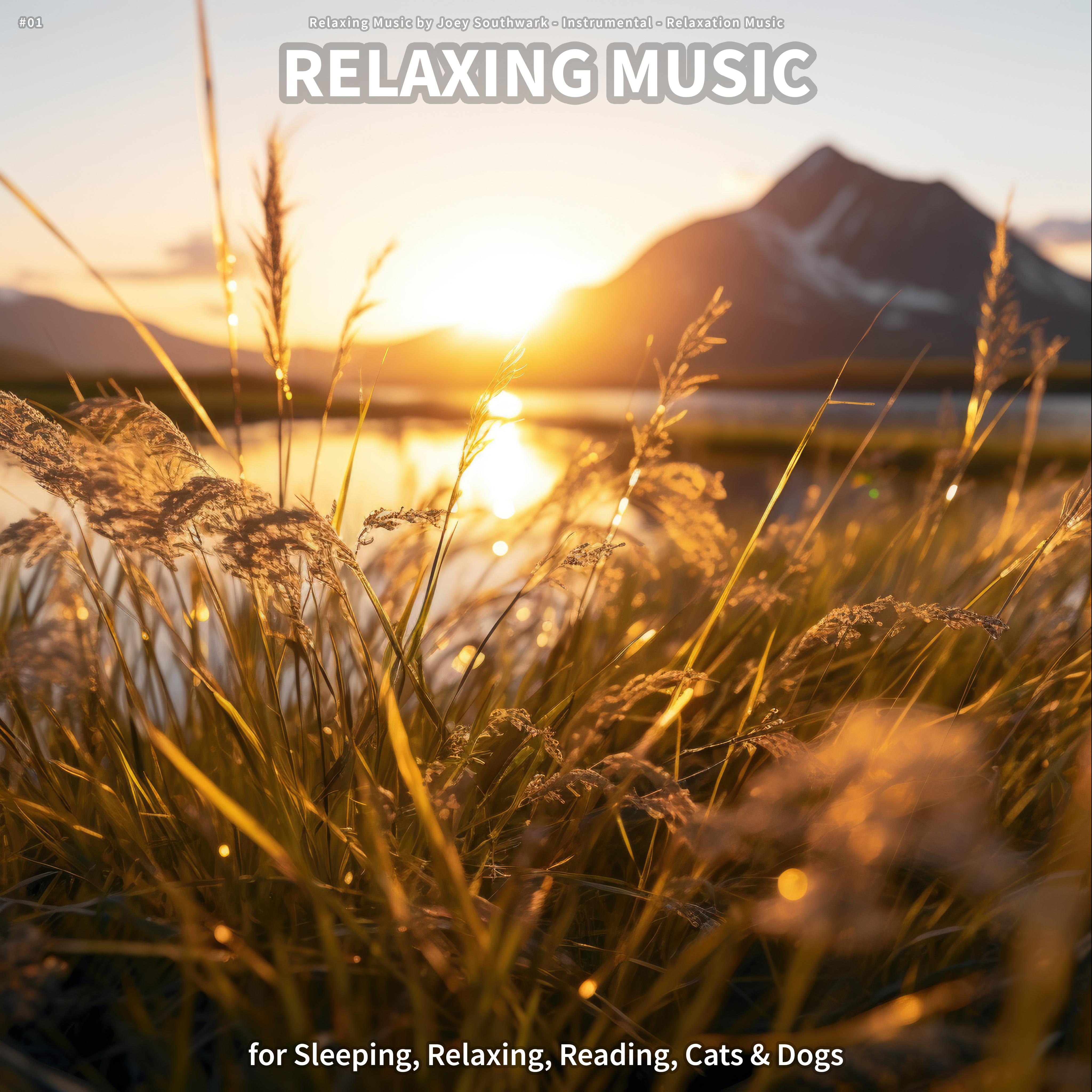 #01 Relaxing Music for Sleeping, Relaxing, Reading, Cats & Dogs ...