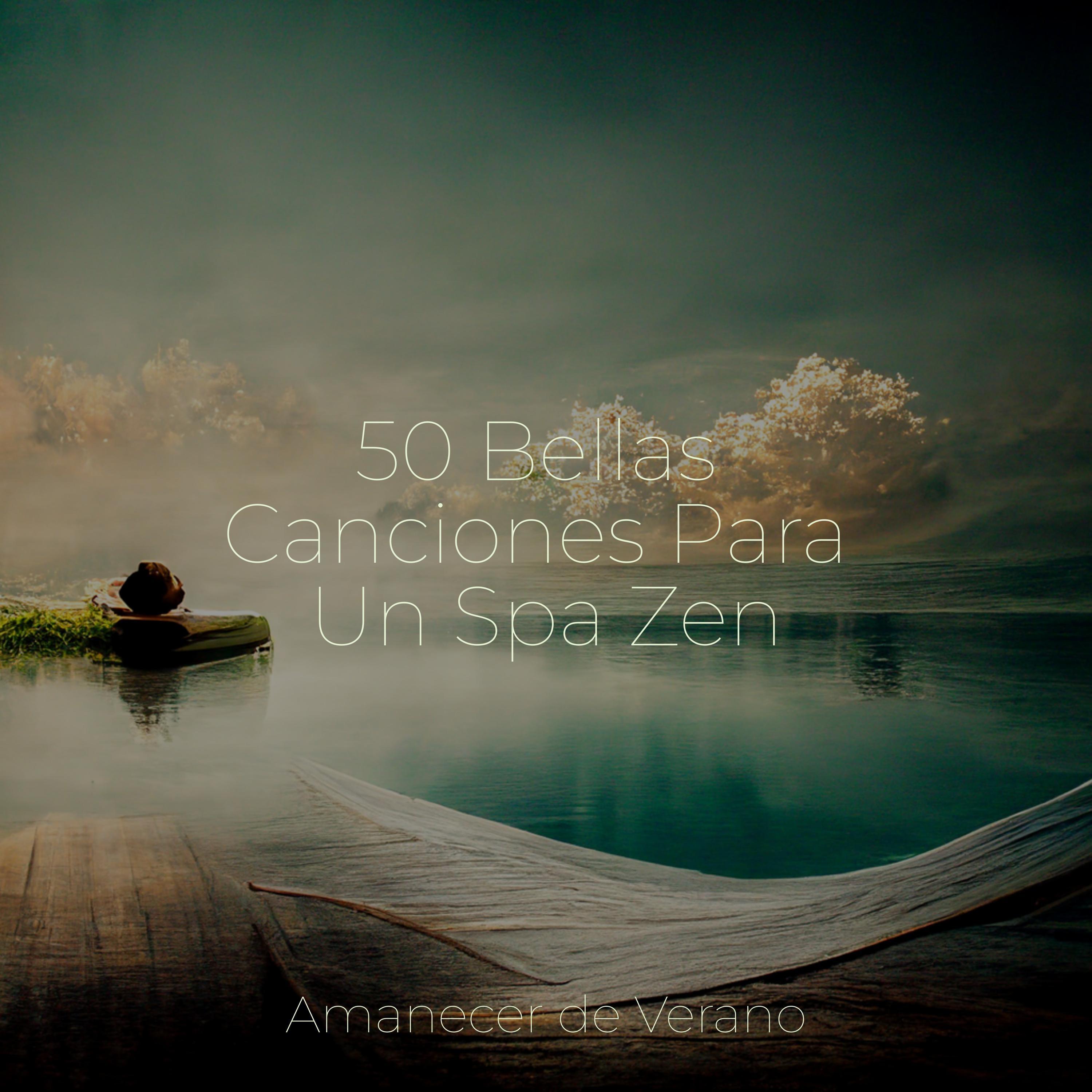 Secretos Místicos Baile Melódico - Meditación Guiada/Musica romantica ...