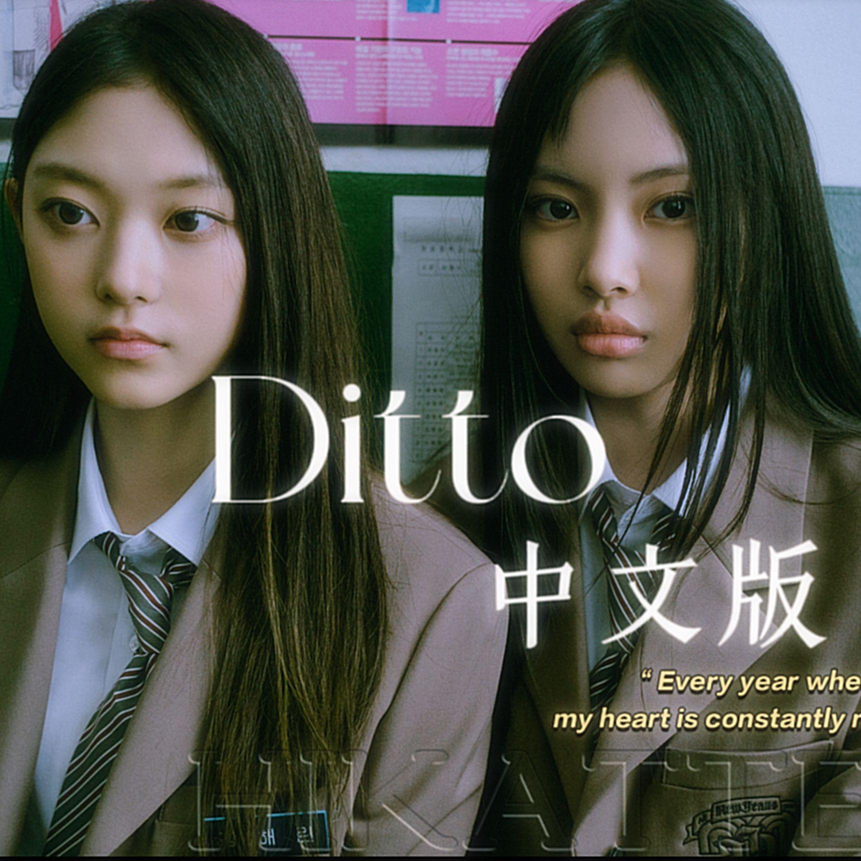 Ditto 中文版 （翻自NewJeans） - 折 - 单曲 - 网易云音乐