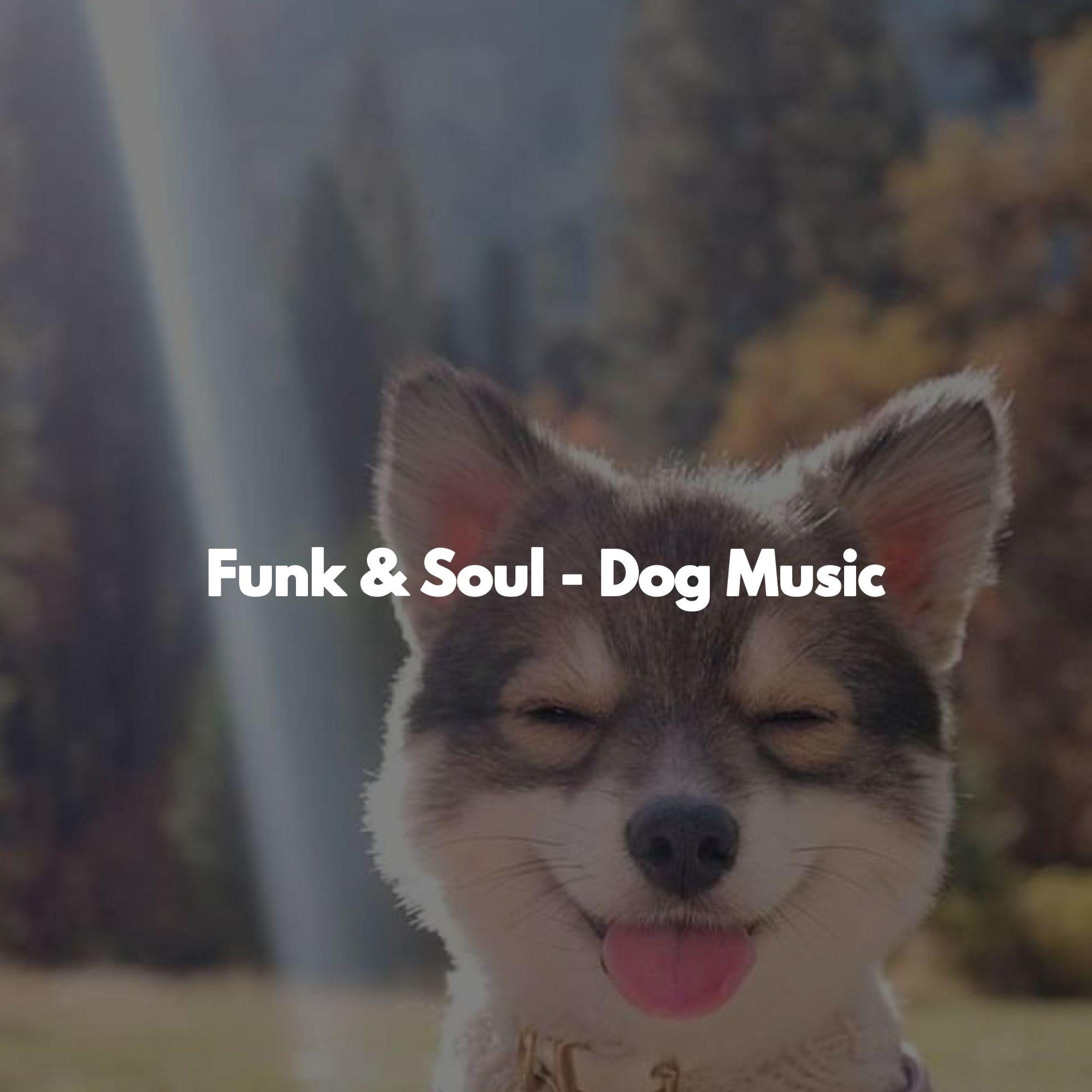 Funk & Soul - Dog Music - Smooth Jazz Classics - 专辑 - 网易云音乐