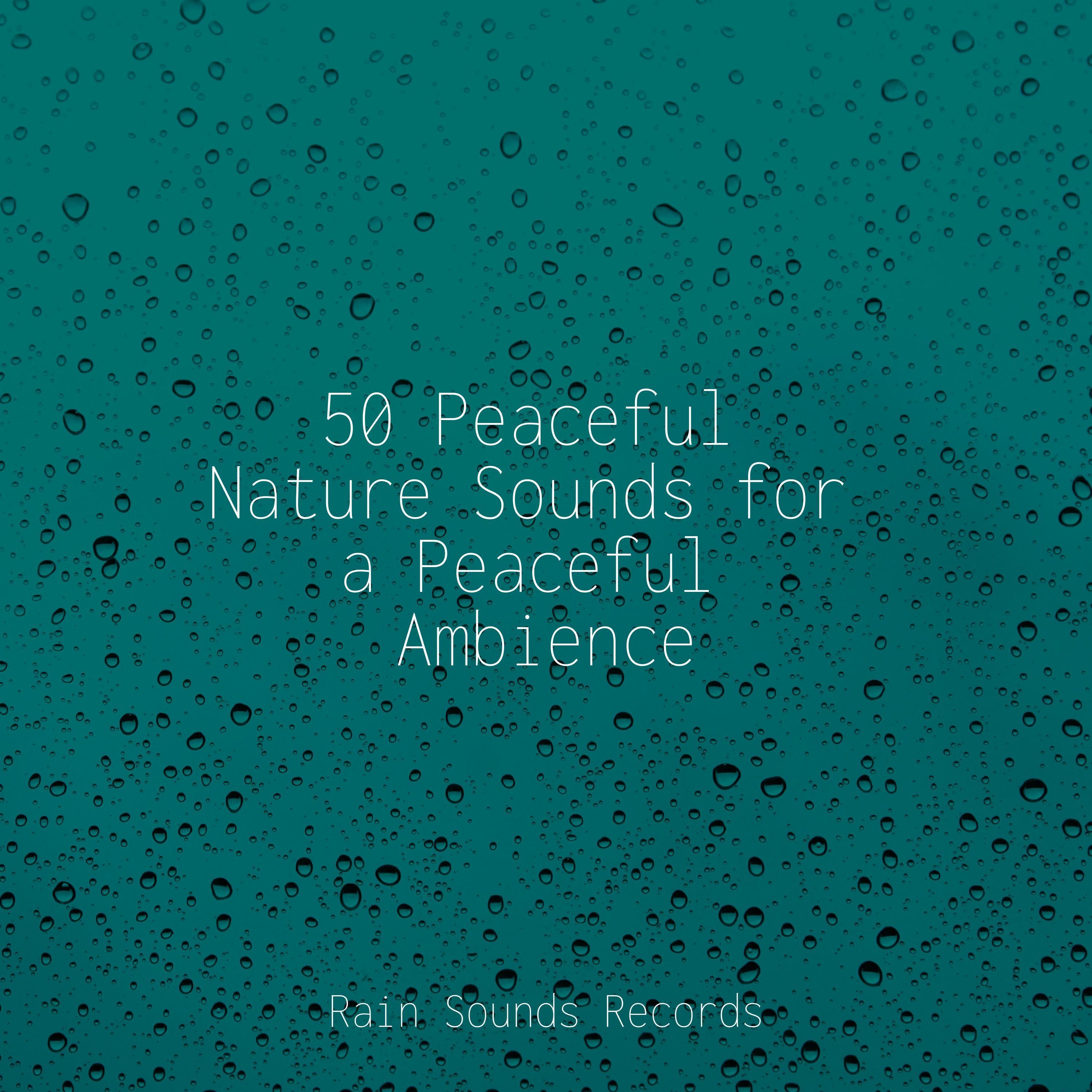 50 Peaceful Nature Sounds for a Peaceful Ambience - Ocean Sounds - 专辑 ...