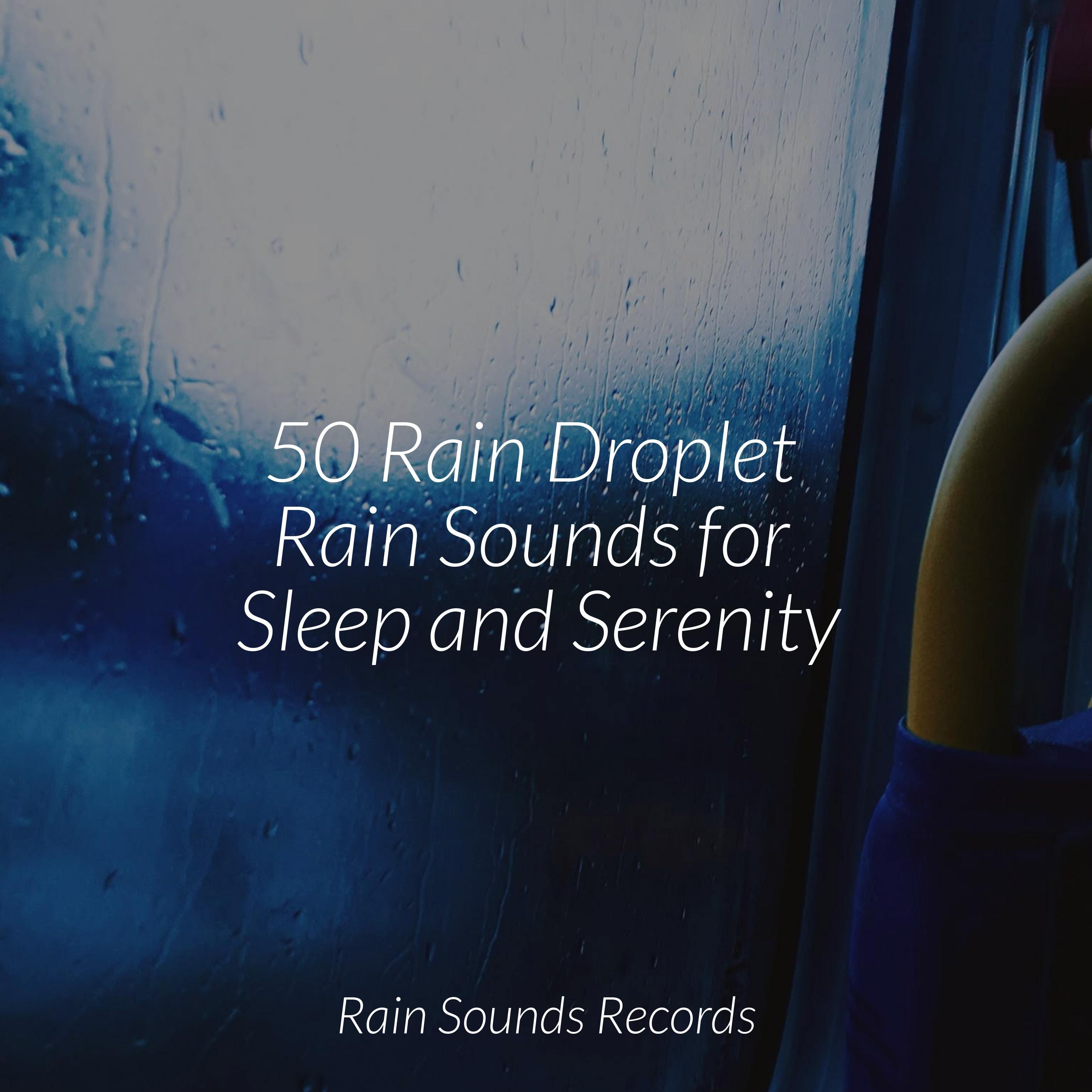 Drip Symphony in Puddles - Reiki Music/Nature Sound Collection/Music ...