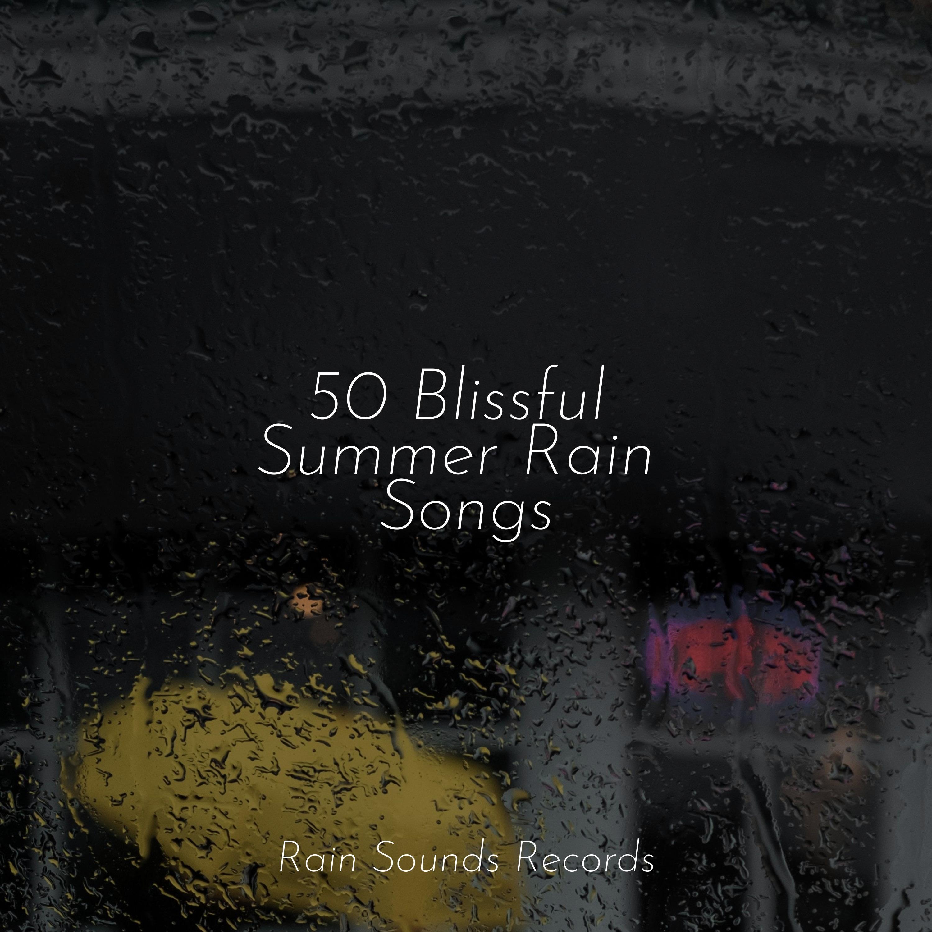 50 Blissful Summer Rain Songs - Sonidos De Truenos y Lluvia - 专辑 - 网易云音乐