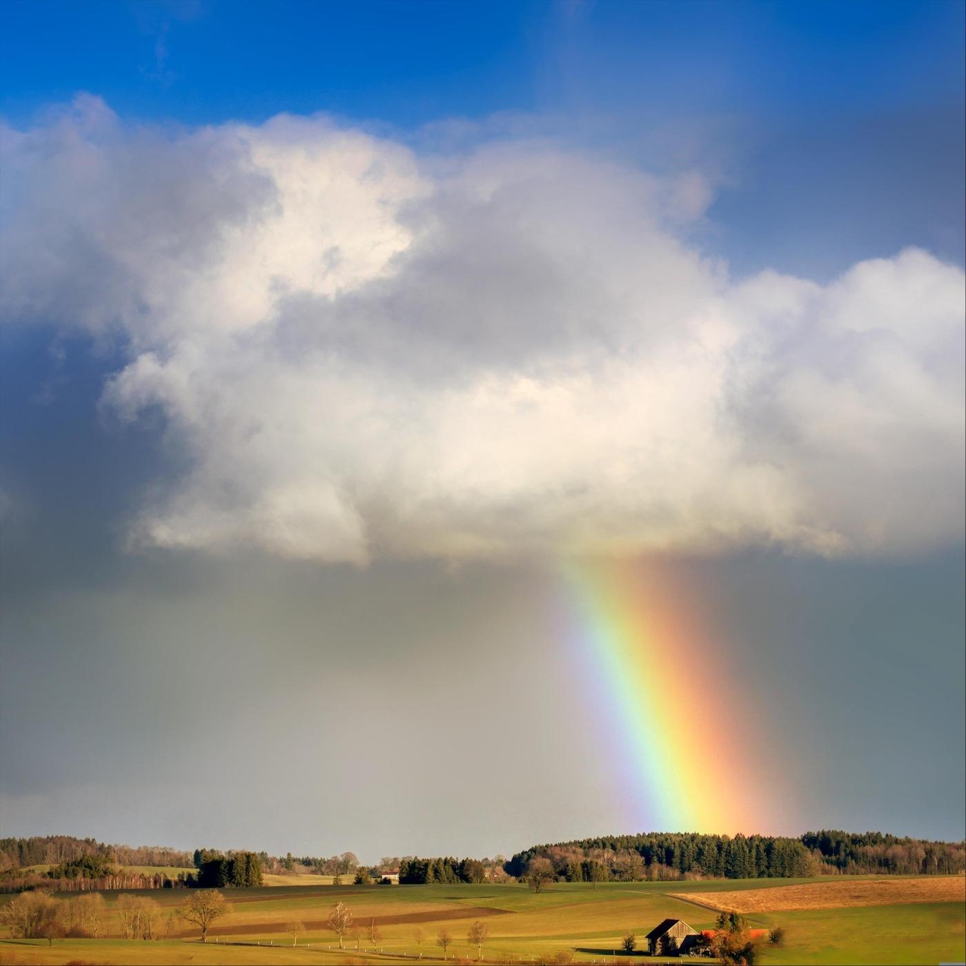 You Made My Day - Solglow/Aethereon/Vivaldi - 单曲 - 网易云音乐