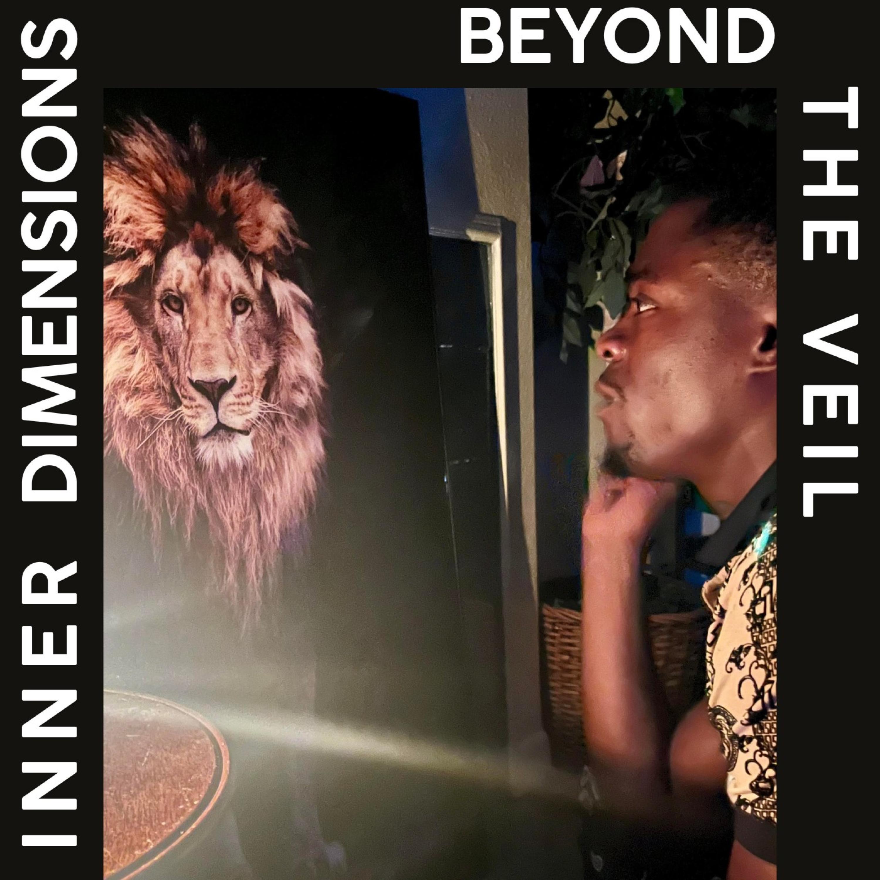 Inner Dimensions: Beyond The Veil - My Boy Arlo - 专辑 - 网易云音乐