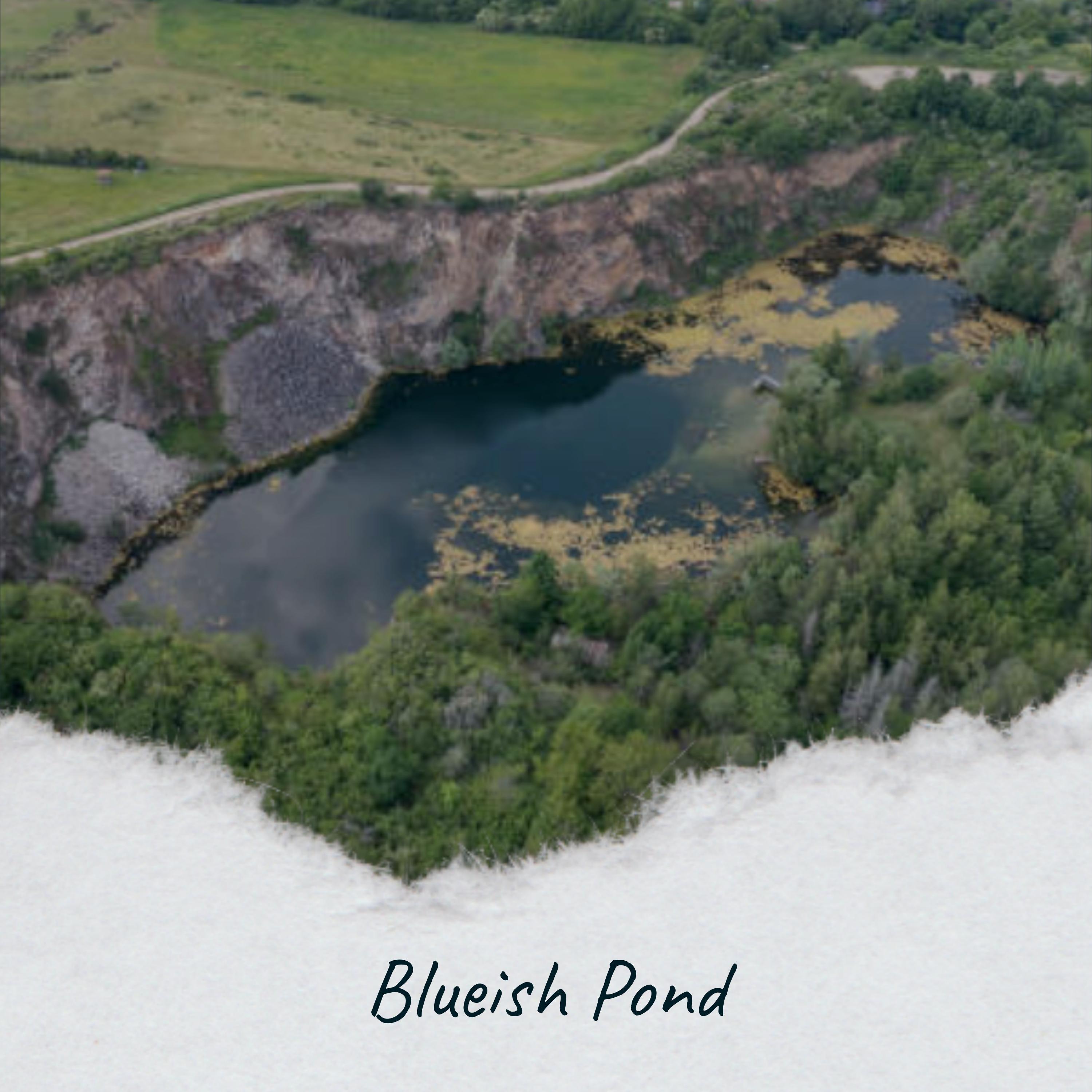 Blueish Pond - Various Artists - 专辑 - 网易云音乐