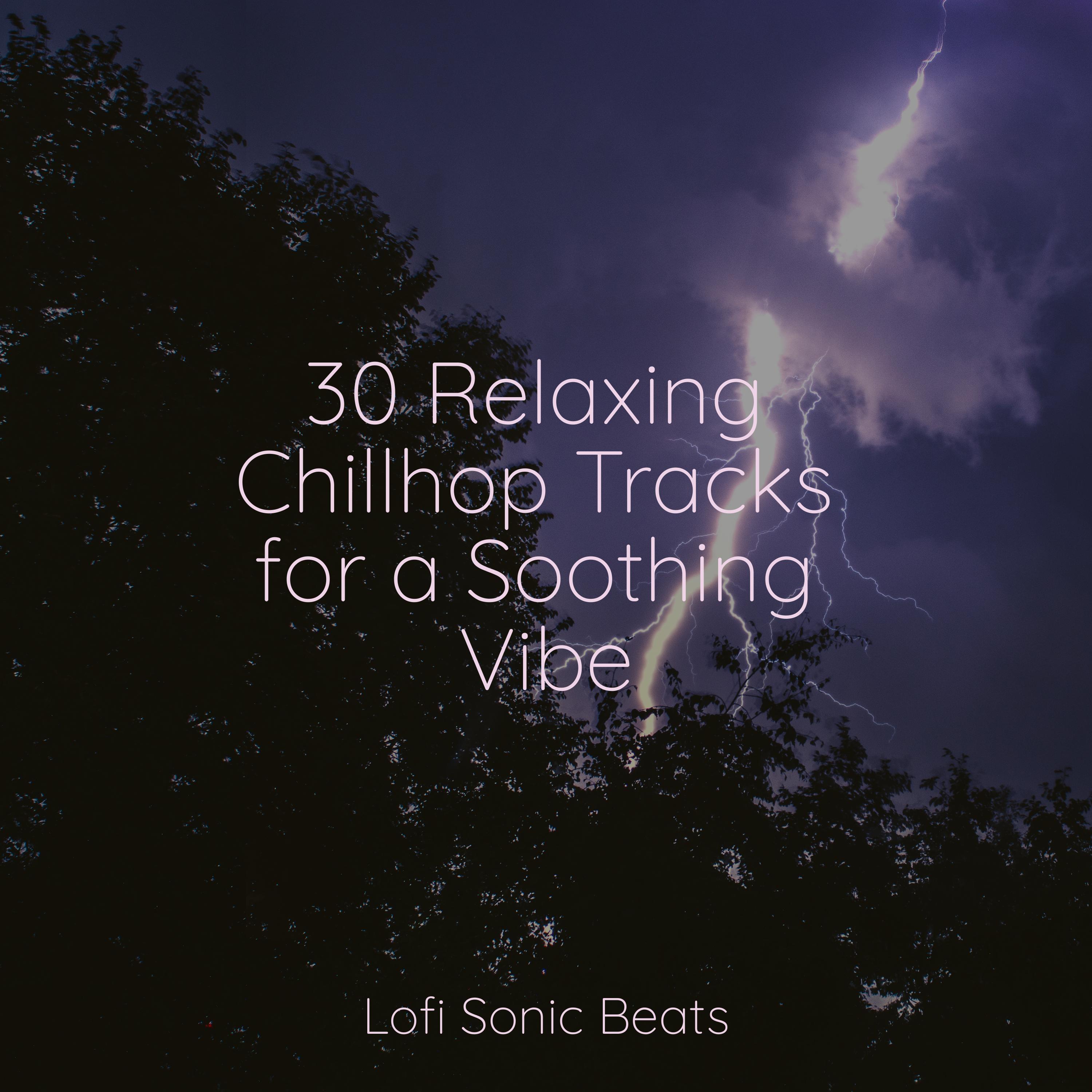 30 Relaxing Chill Tracks for a Soothing Vibe - Lofi Beats - 专辑 - 网易云音乐