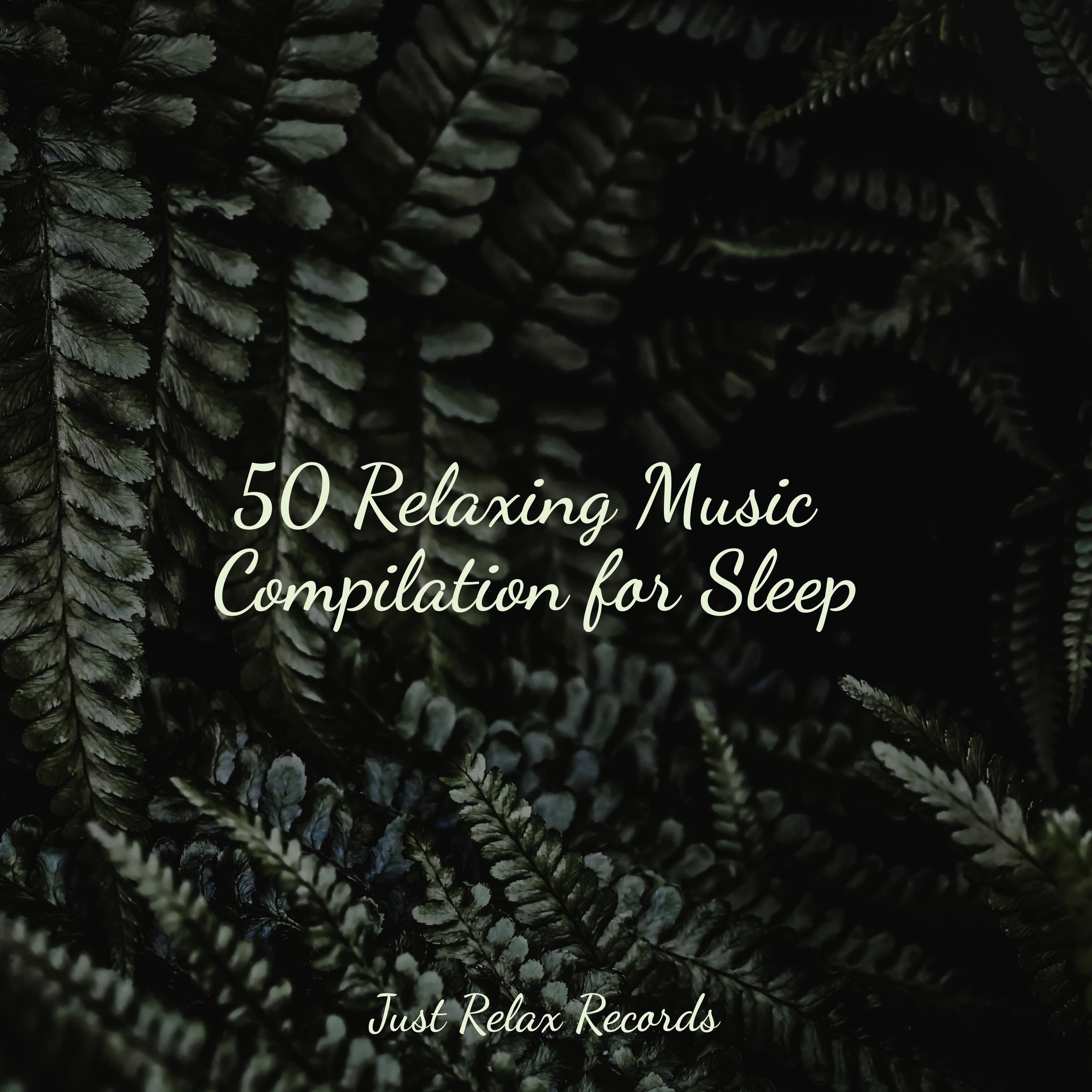 Blossoming Breeze Melody - ASMR HD/Musica Relajante/Reiki Music - 单曲 ...