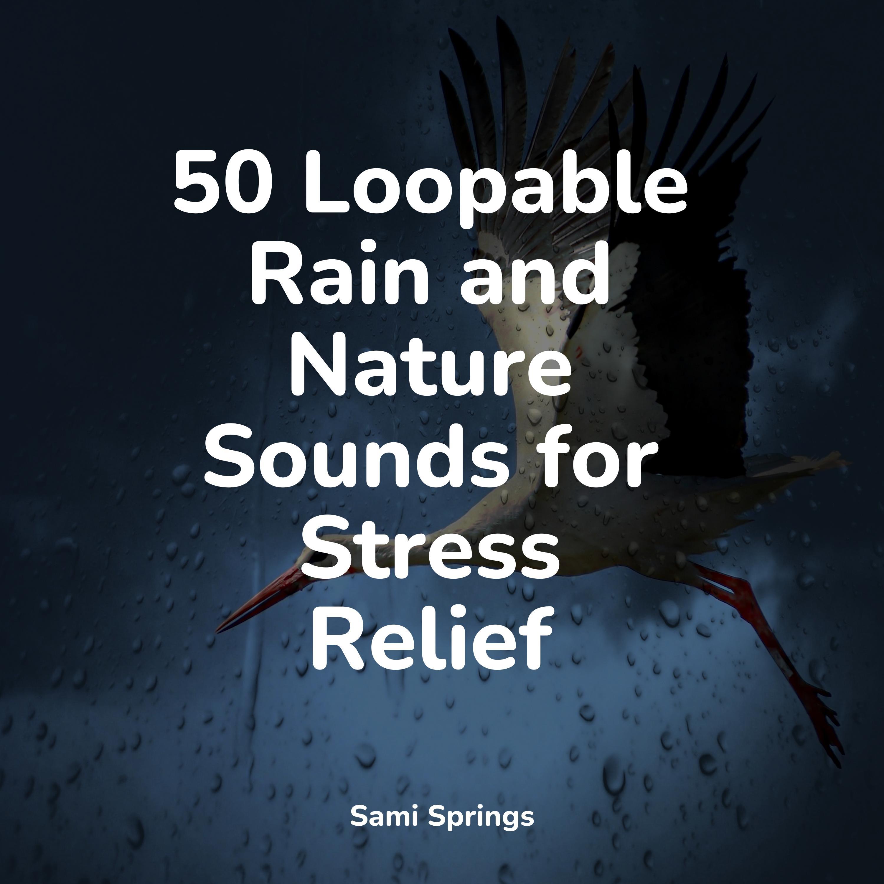 50 Loopable Rain and Nature Sounds for Stress Relief - Mindfulness ...