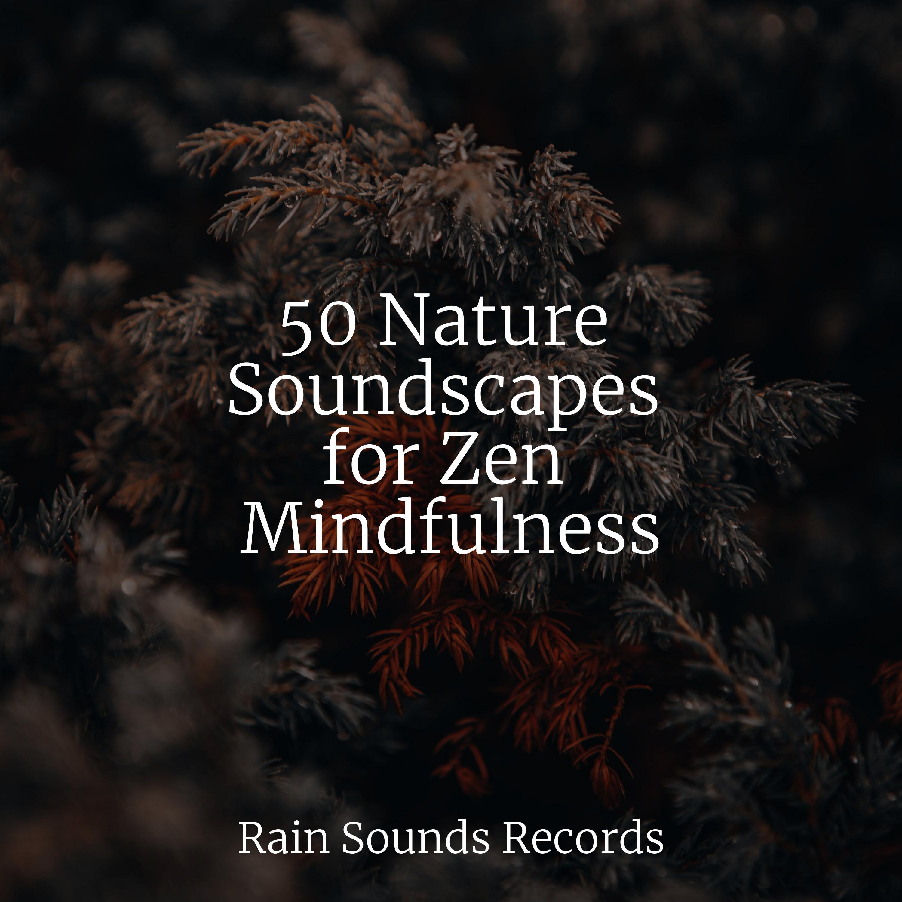 50 Nature Soundscapes for Zen Mindfulness - Sleep Sounds of Nature - 专辑 ...