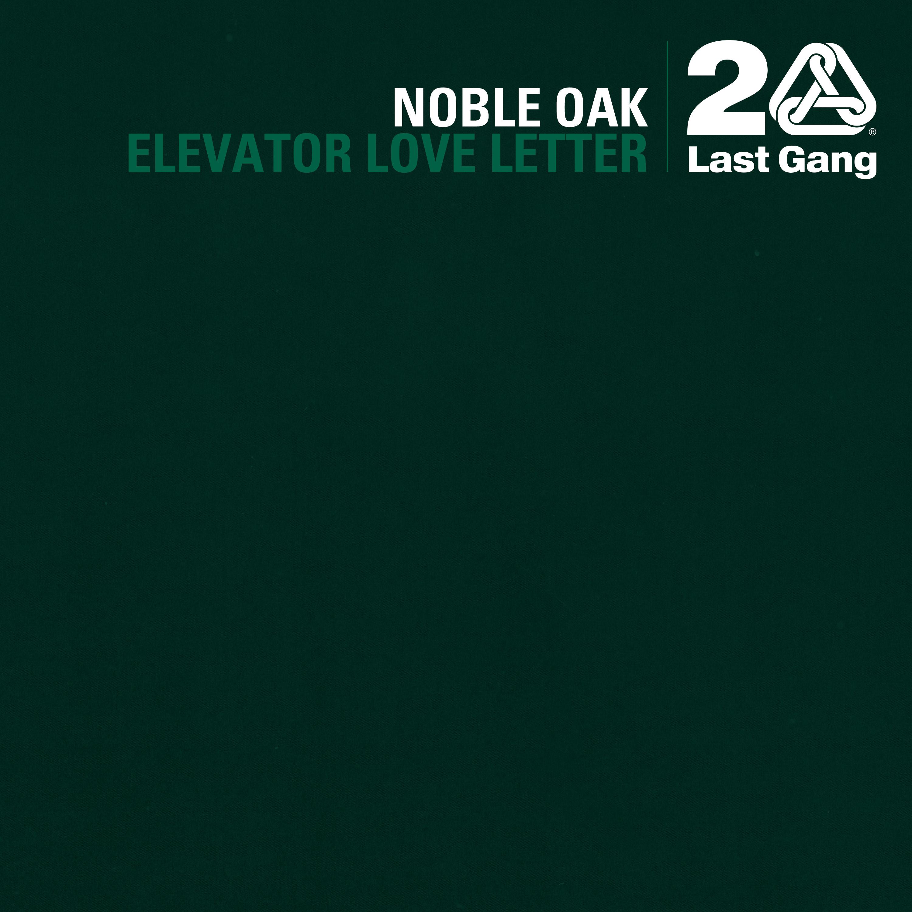 Elevator Love Letter - Noble Oak - 专辑 - 网易云音乐