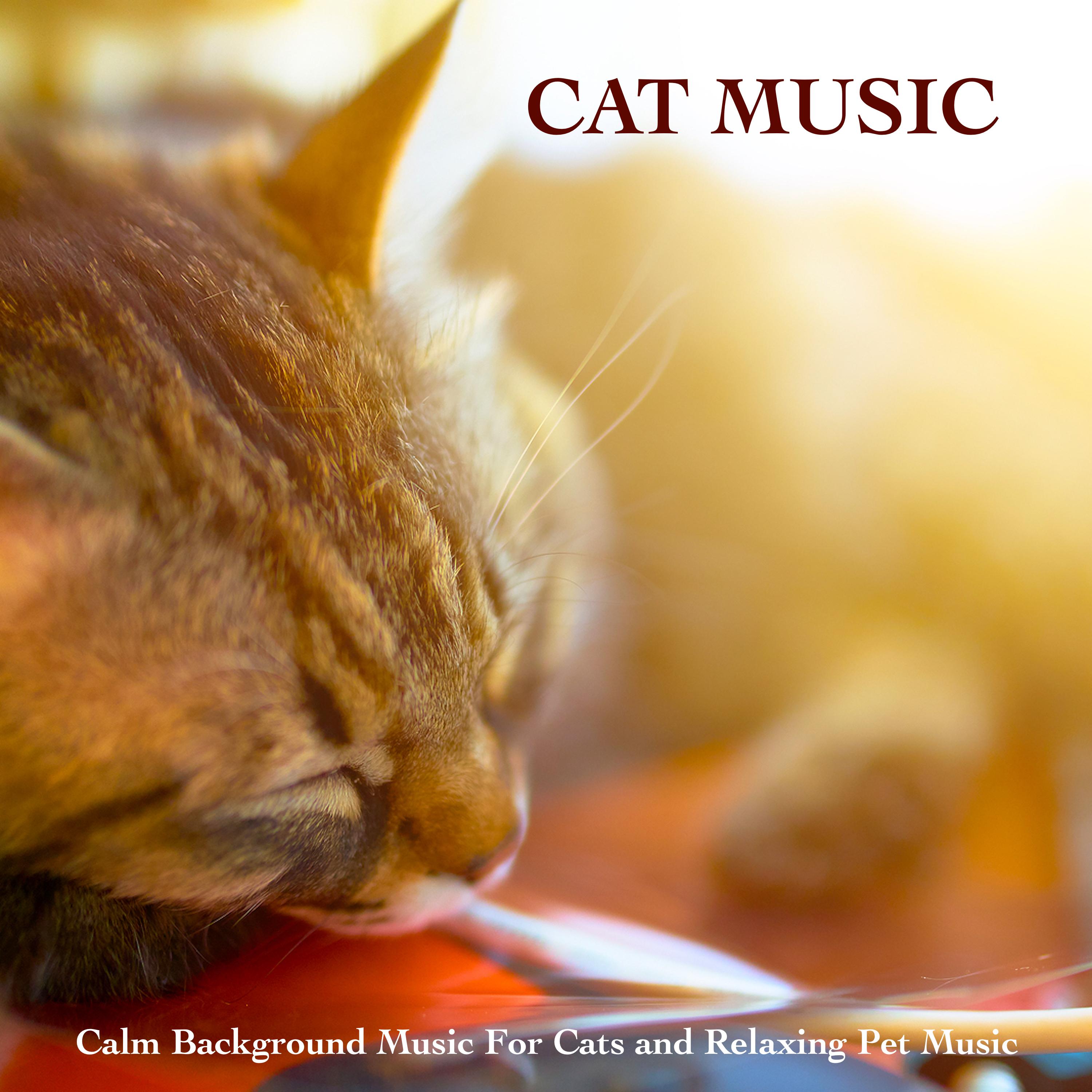 Music For Cats - Cat Music - 单曲 - 网易云音乐