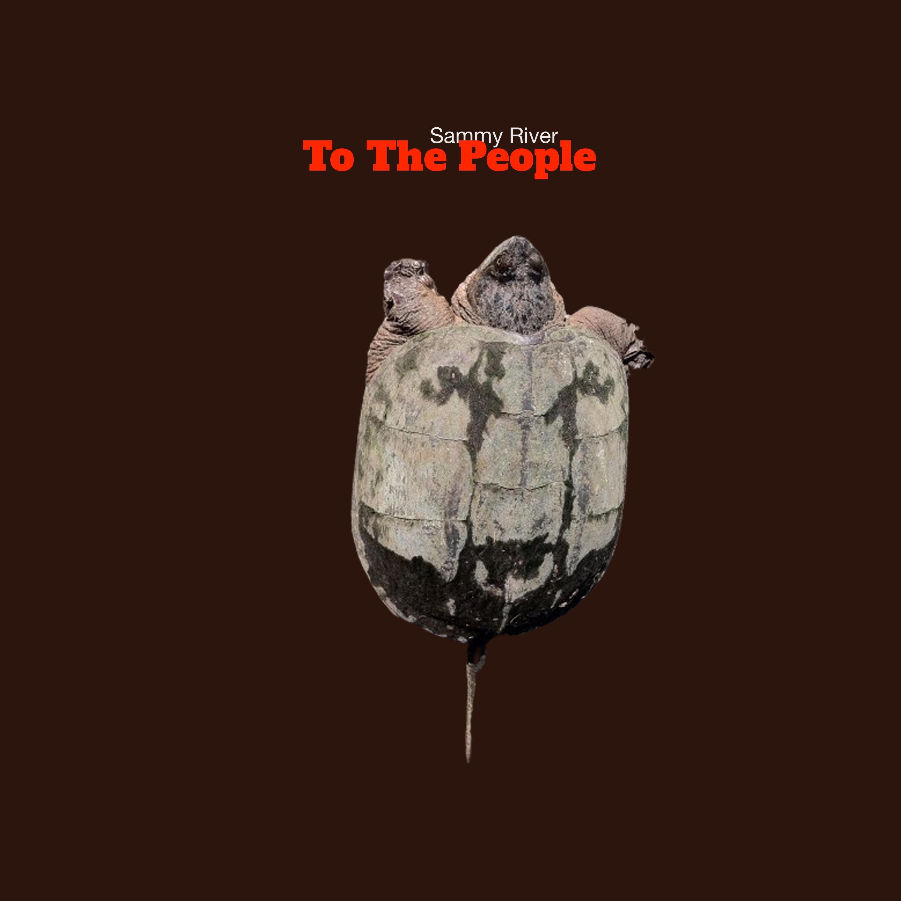 Fear - Sammy River - 单曲 - 网易云音乐