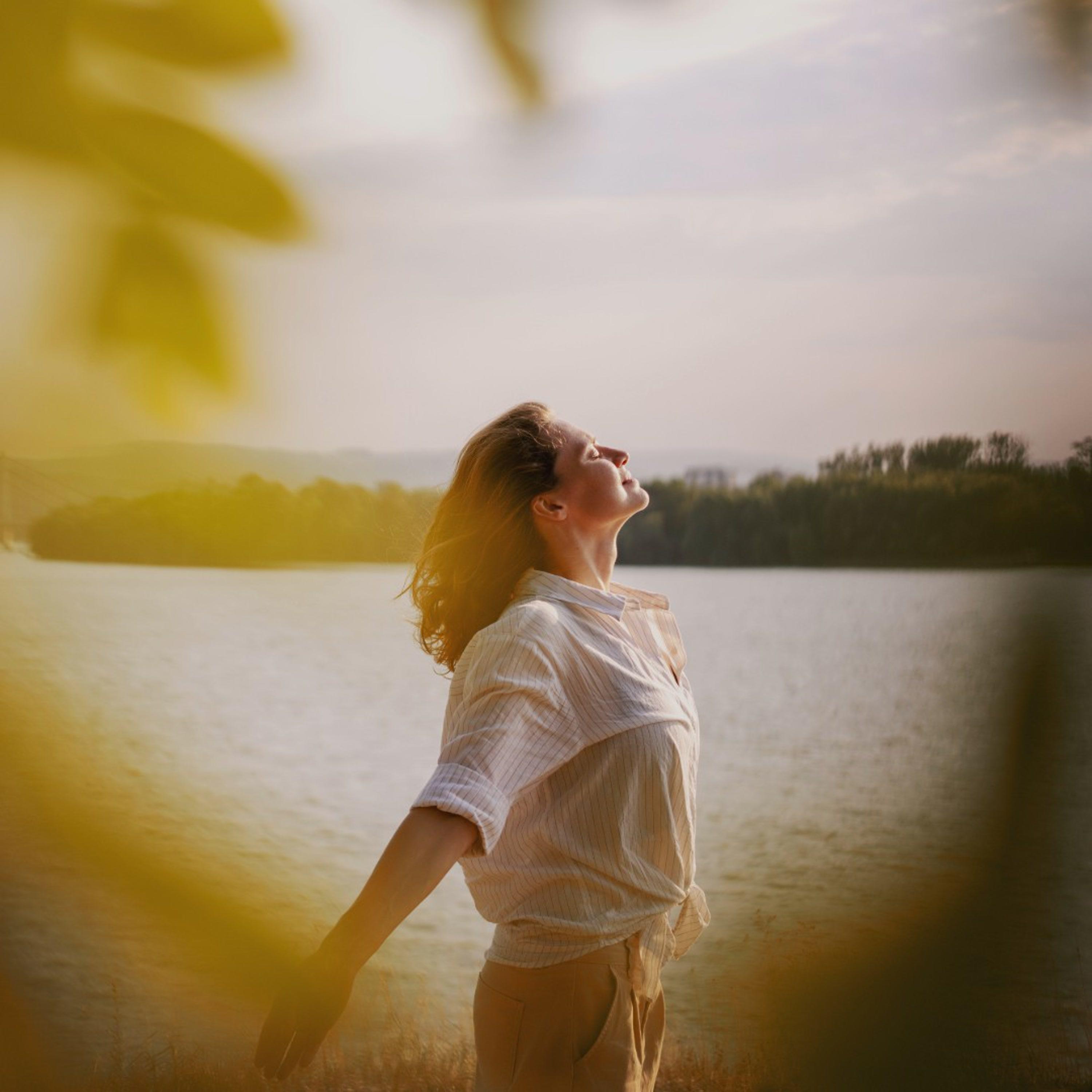 Serene Meditation: Music for Calm Reflection - Guitar Tango Trio - 专辑 ...