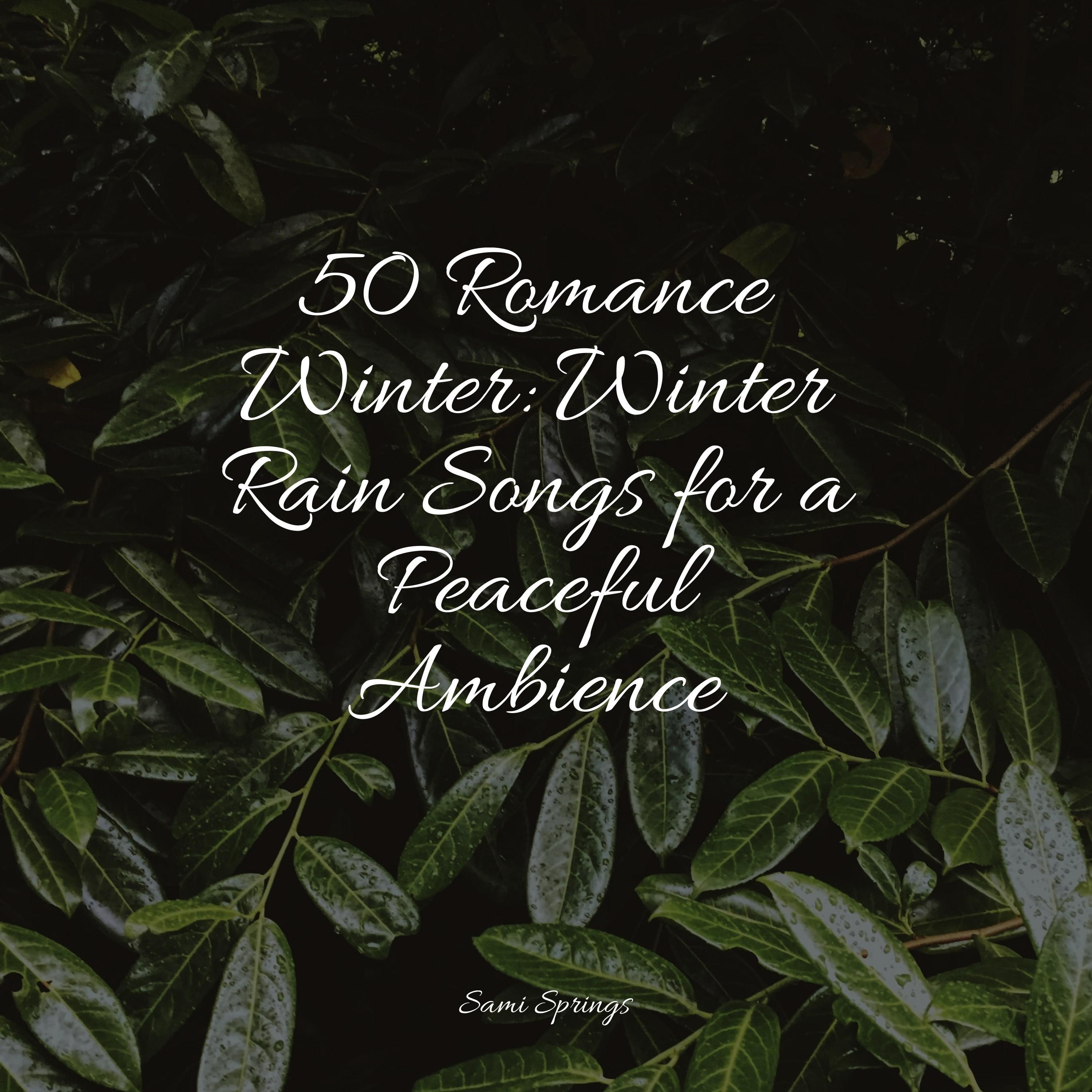 50 Romance Winter: Winter Rain Songs for a Peaceful Ambience - Musica ...