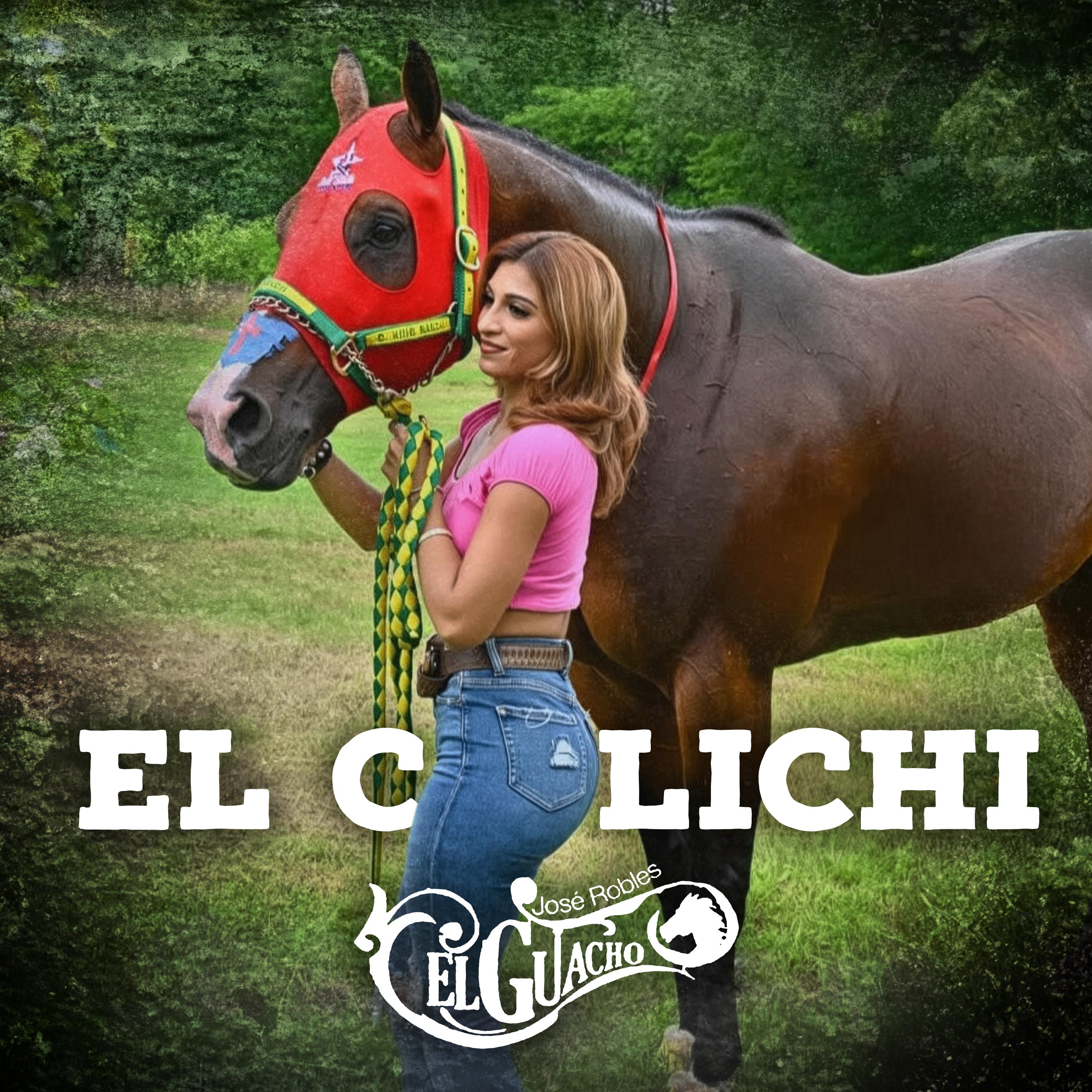 El Culichi - Jose Robles "El Guacho" - 单曲 - 网易云音乐
