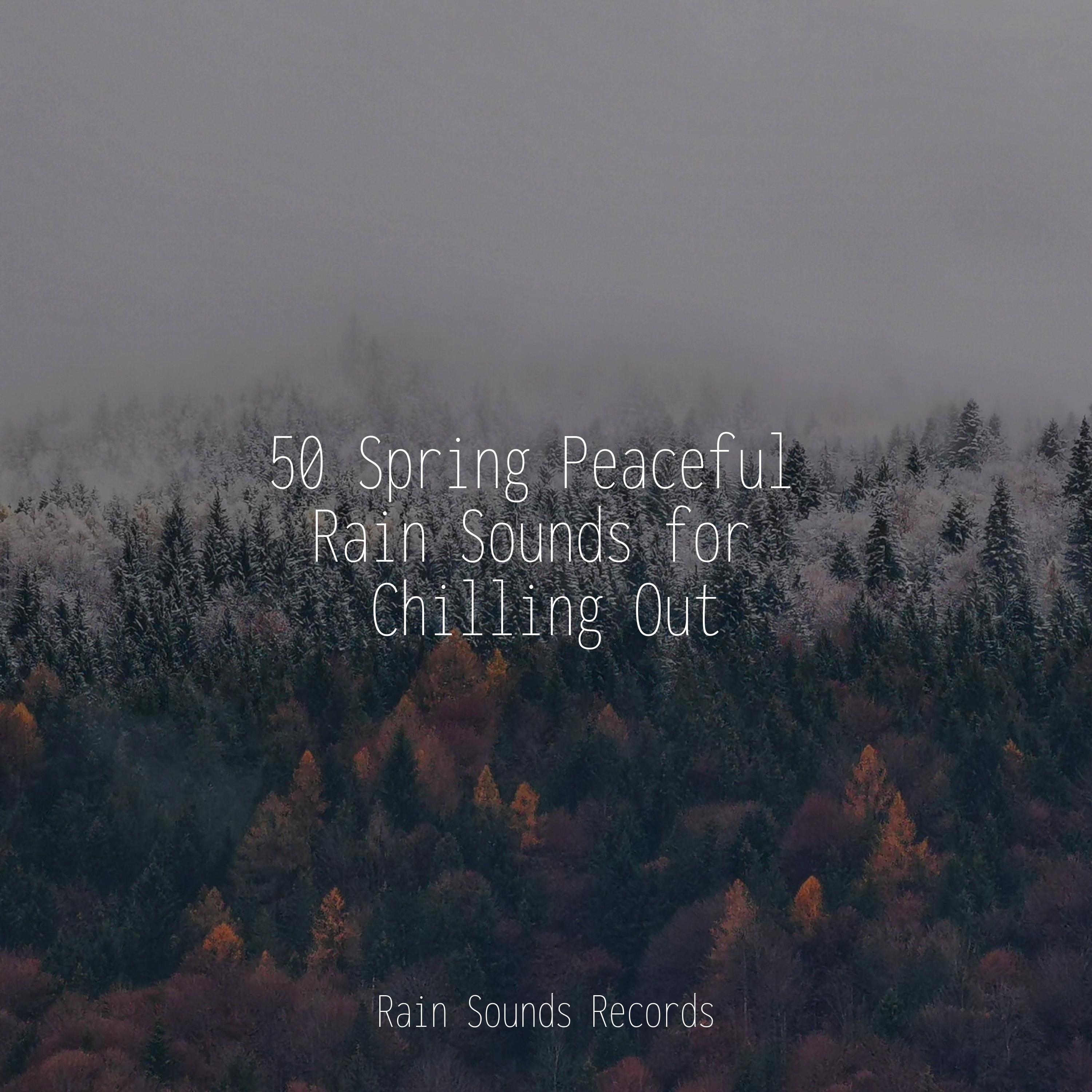 50 Spring Peaceful Rain Sounds for Chilling Out - Nature Sound ...