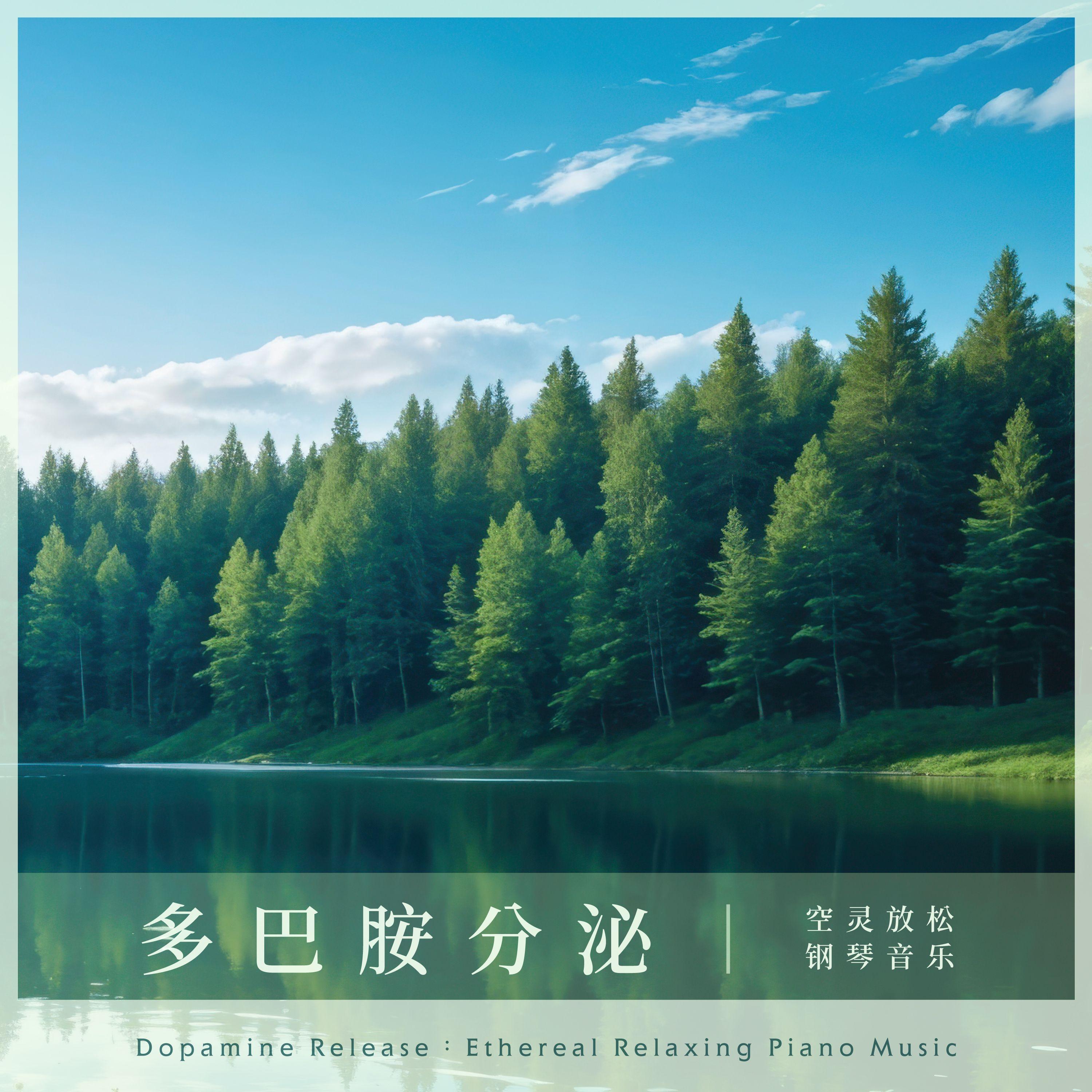 阅读专注轻听(舒缓压力)（Read Focus Listen (Relieve Stress)） - 酷客音乐 - 单曲 - 网易云音乐