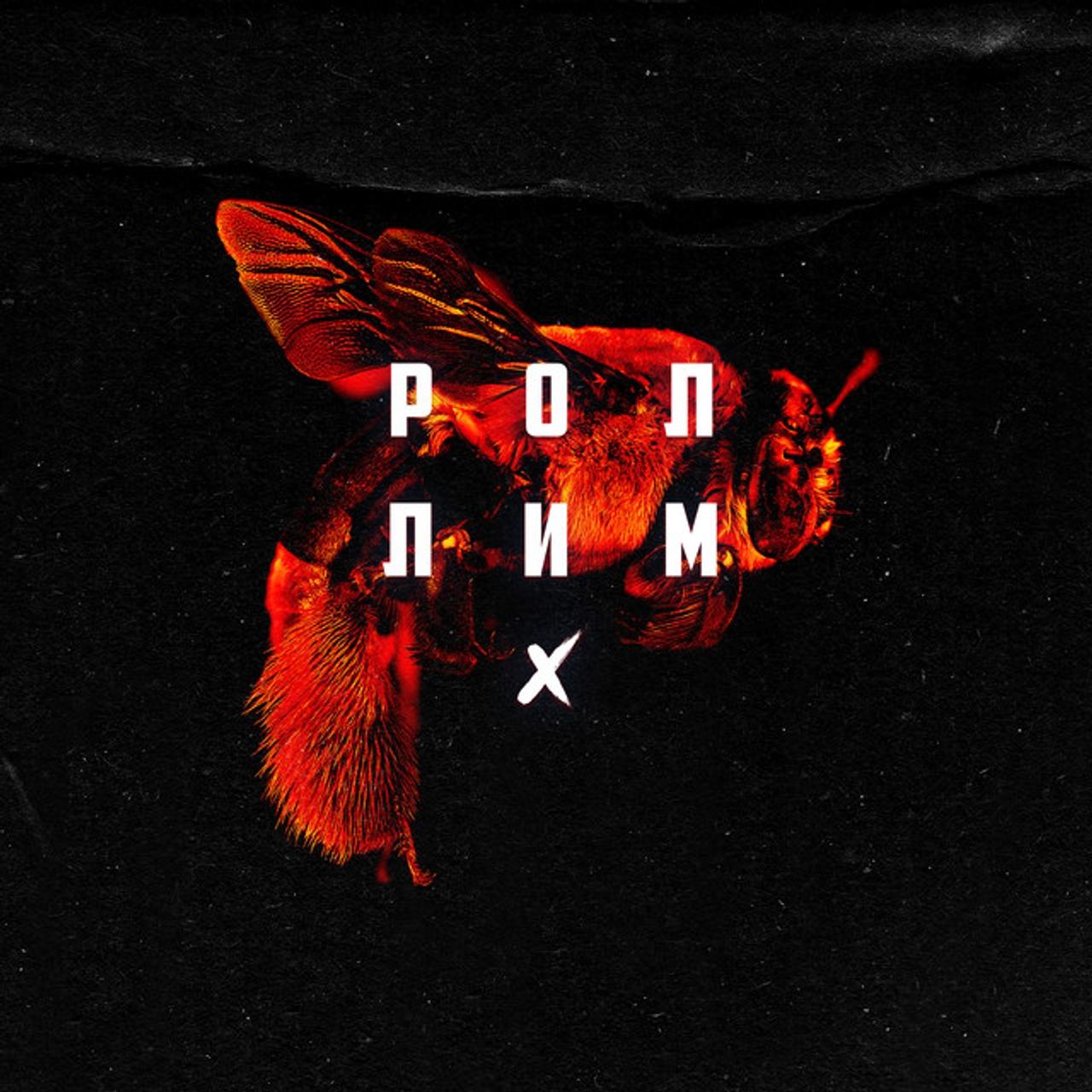 Max Reid - 歌手 - 网易云音乐