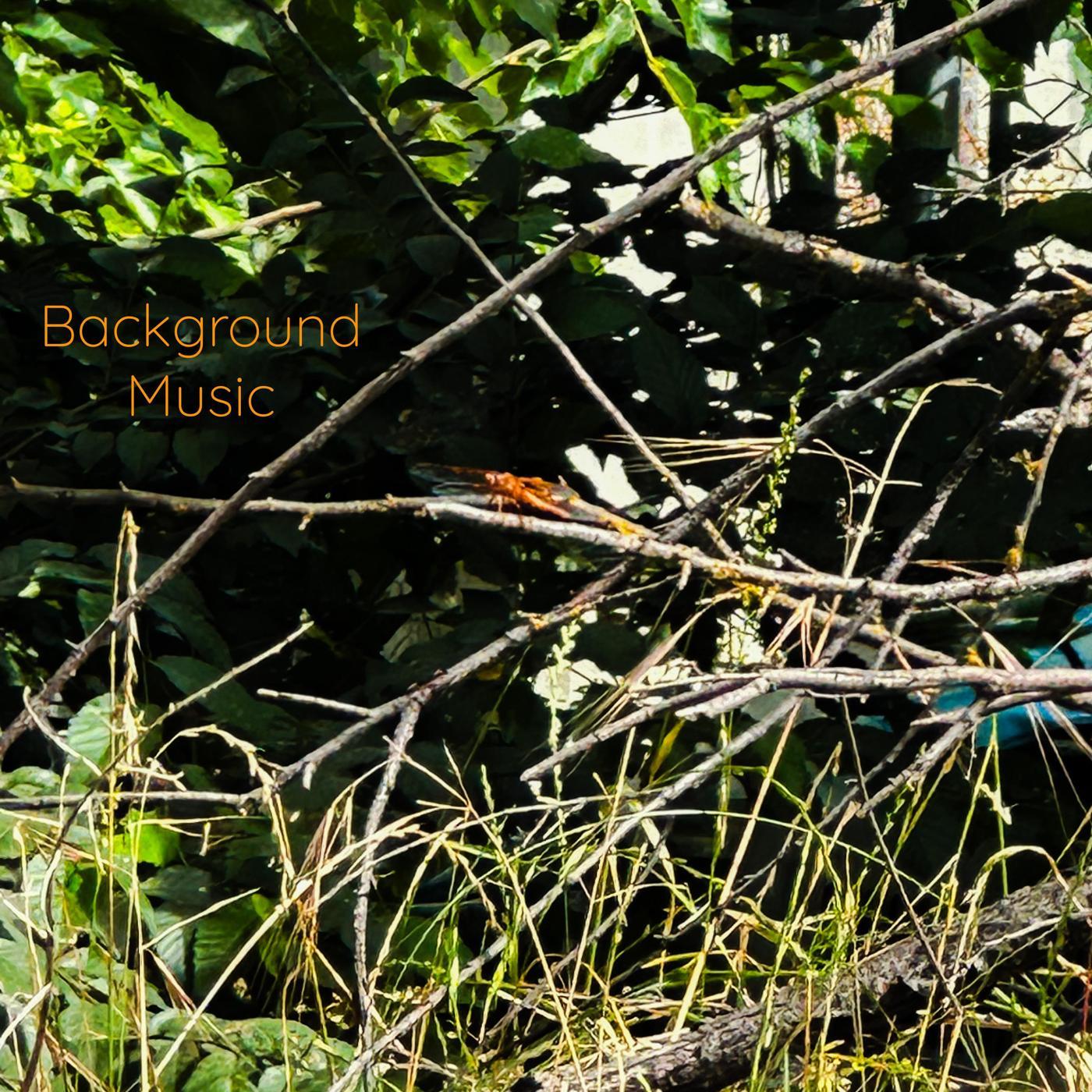 Background Music - Evans Junior - 专辑 - 网易云音乐