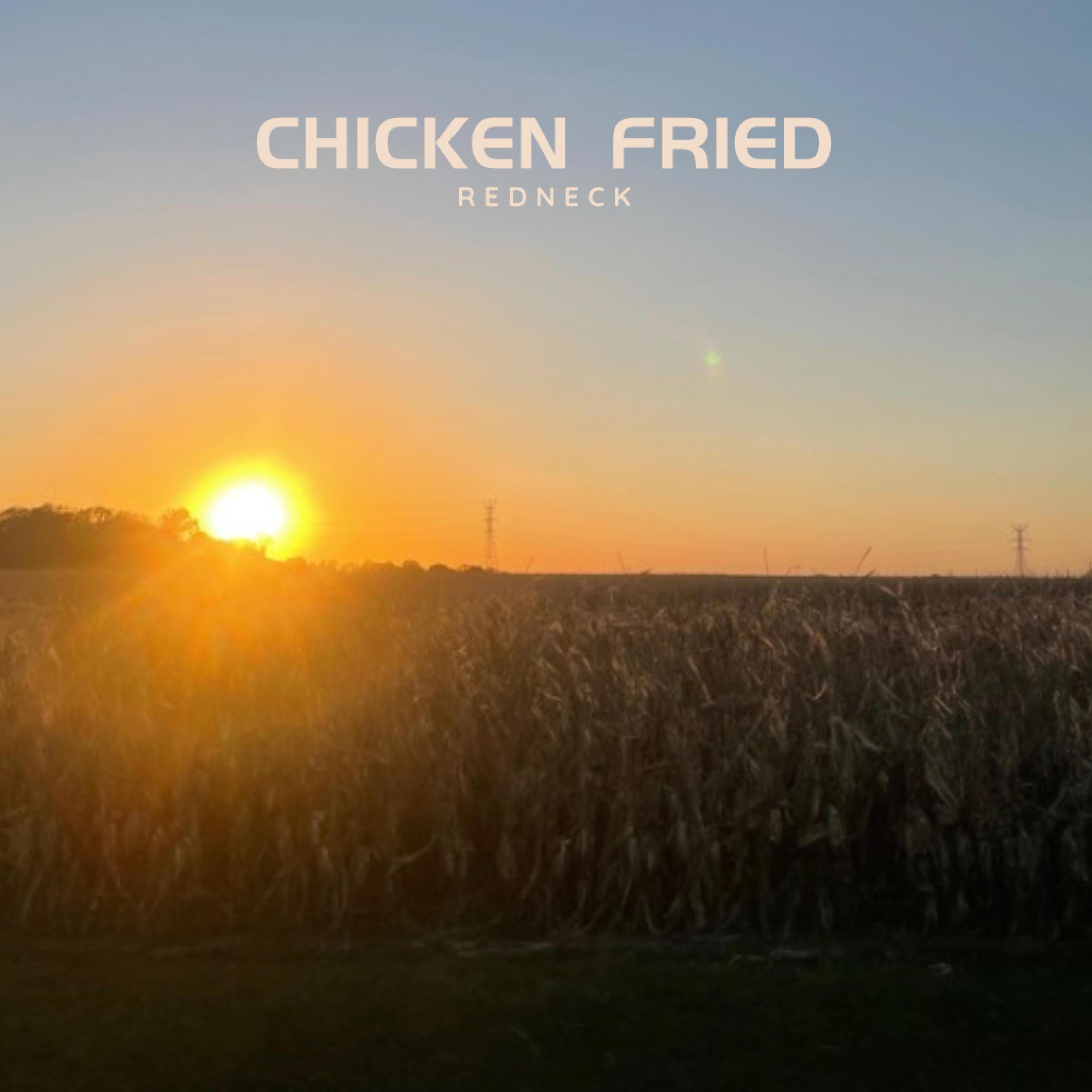 Chicken Fried - Redneck - 单曲 - 网易云音乐