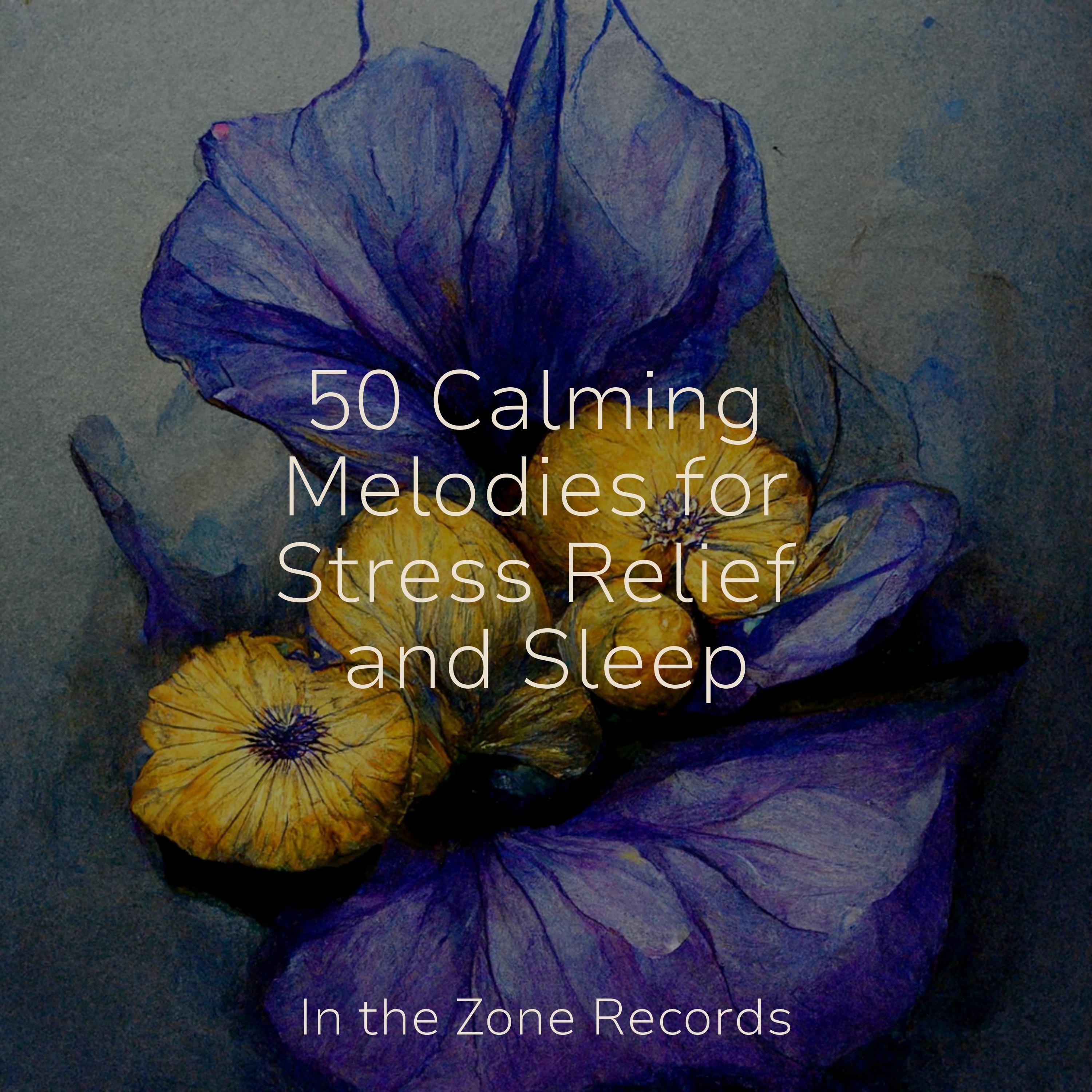 50 Calming Melodies for Stress Relief and Sleep - Musica Reiki - 专辑 - 网易云音乐