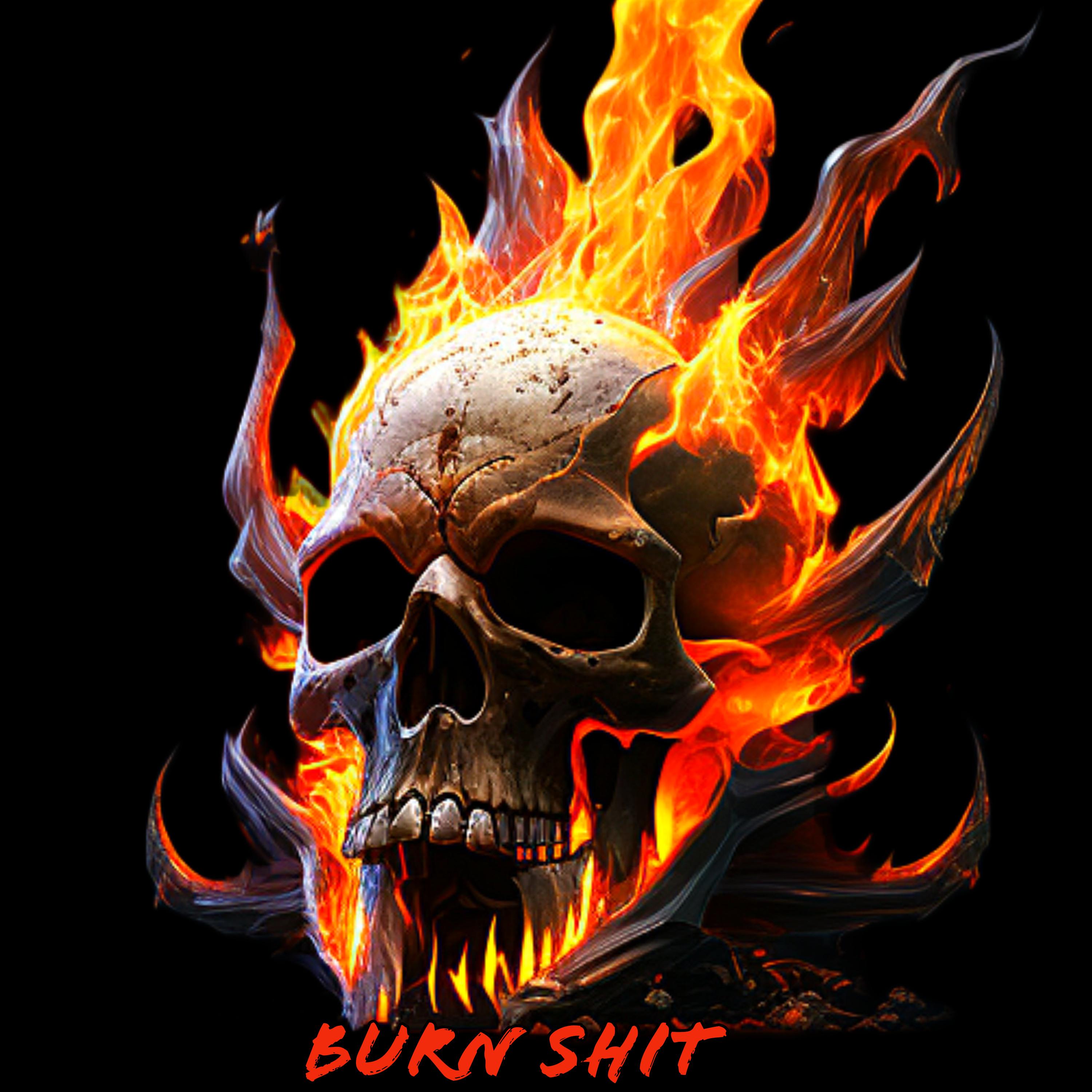 Burn Shit - C-Steezee - 专辑 - 网易云音乐