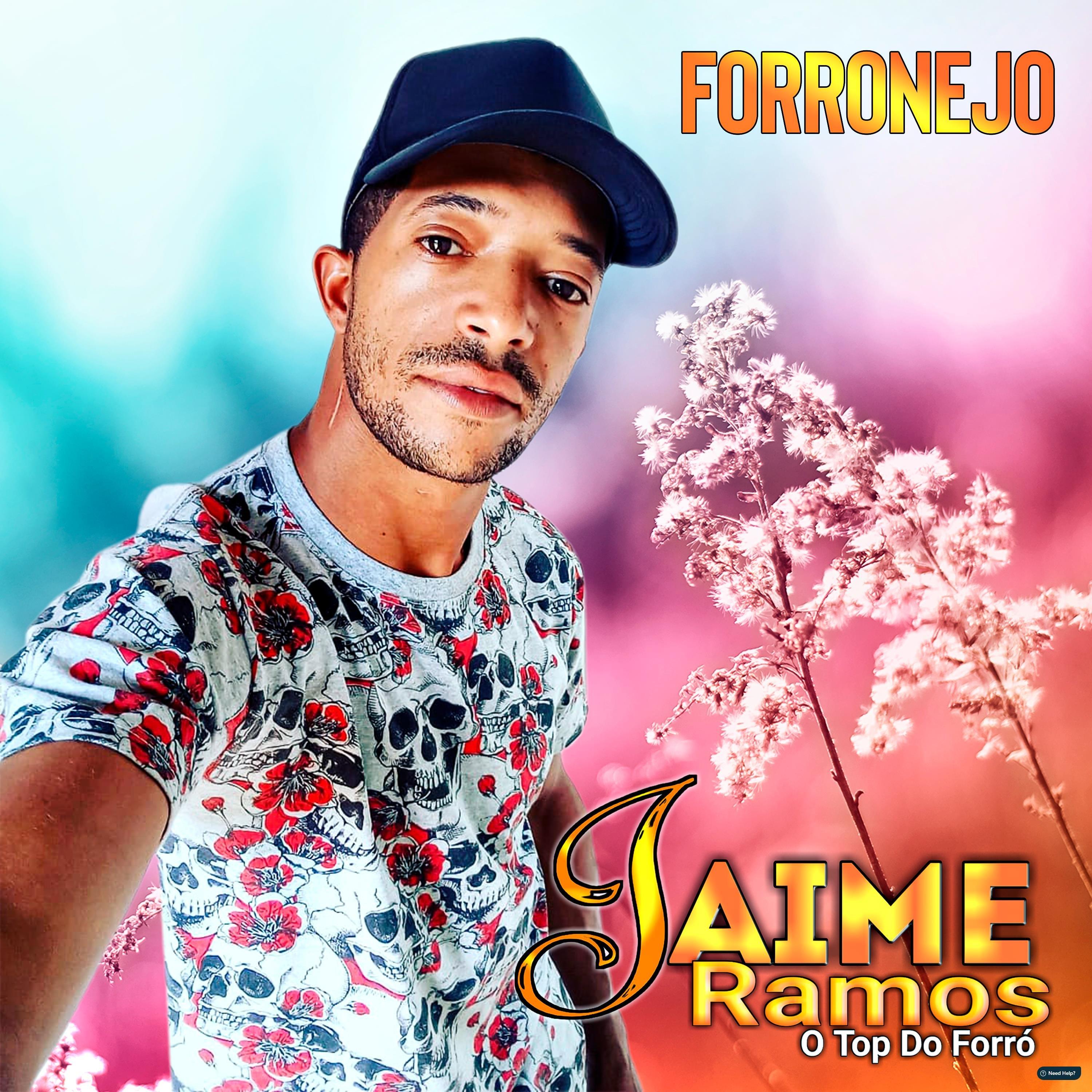 Luzes de São Paulo - Jaime Ramos o Top do Forró - 单曲 - 网易云音乐