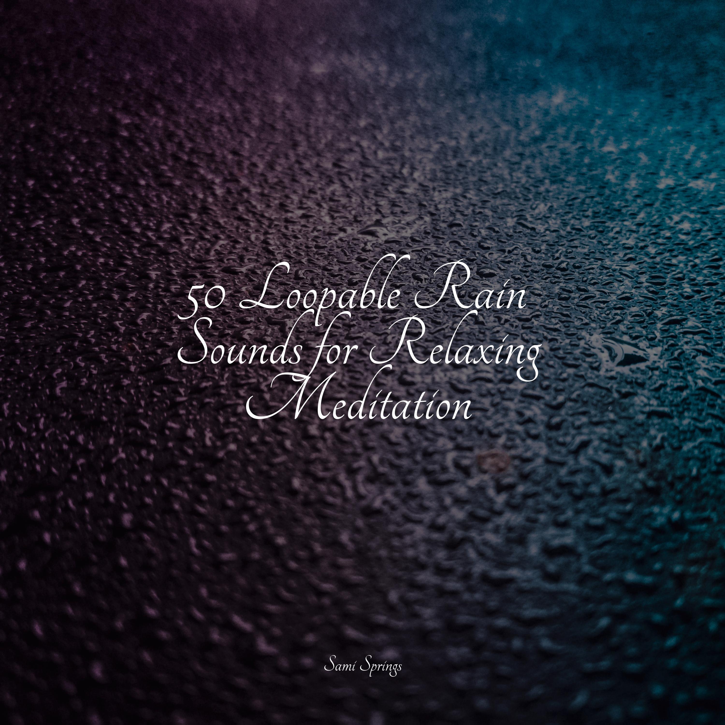 Tender Glass Drizzles - Forest Sounds/Nature Sound Collection/Japanese ...