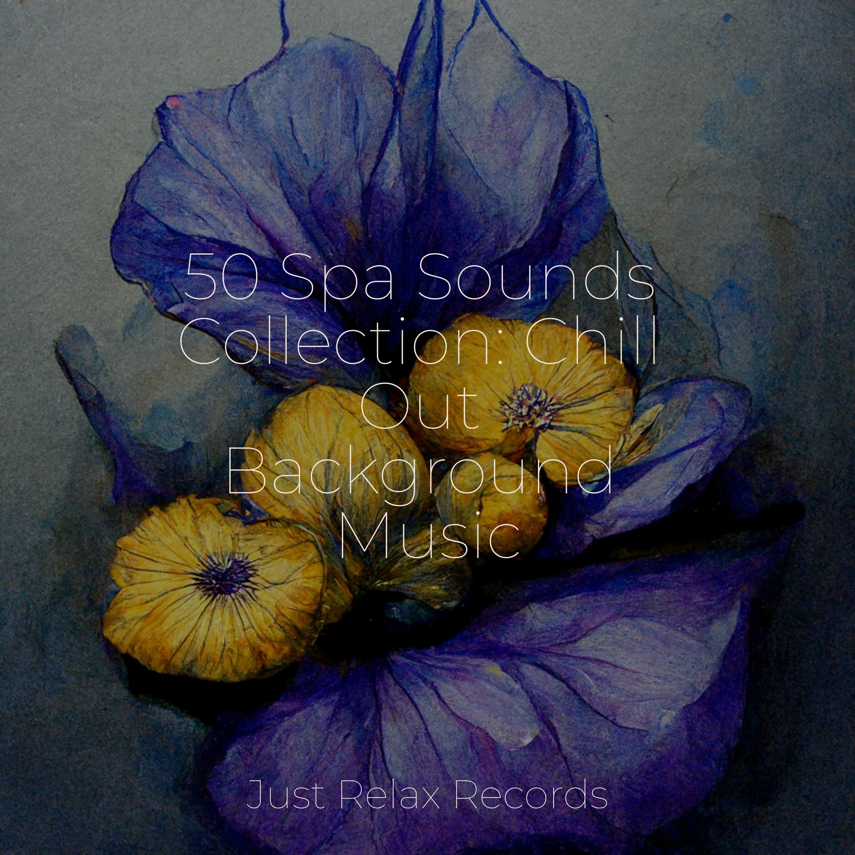 50 Spa Sounds Collection: Chill Out Background Music - Lounge Music ...
