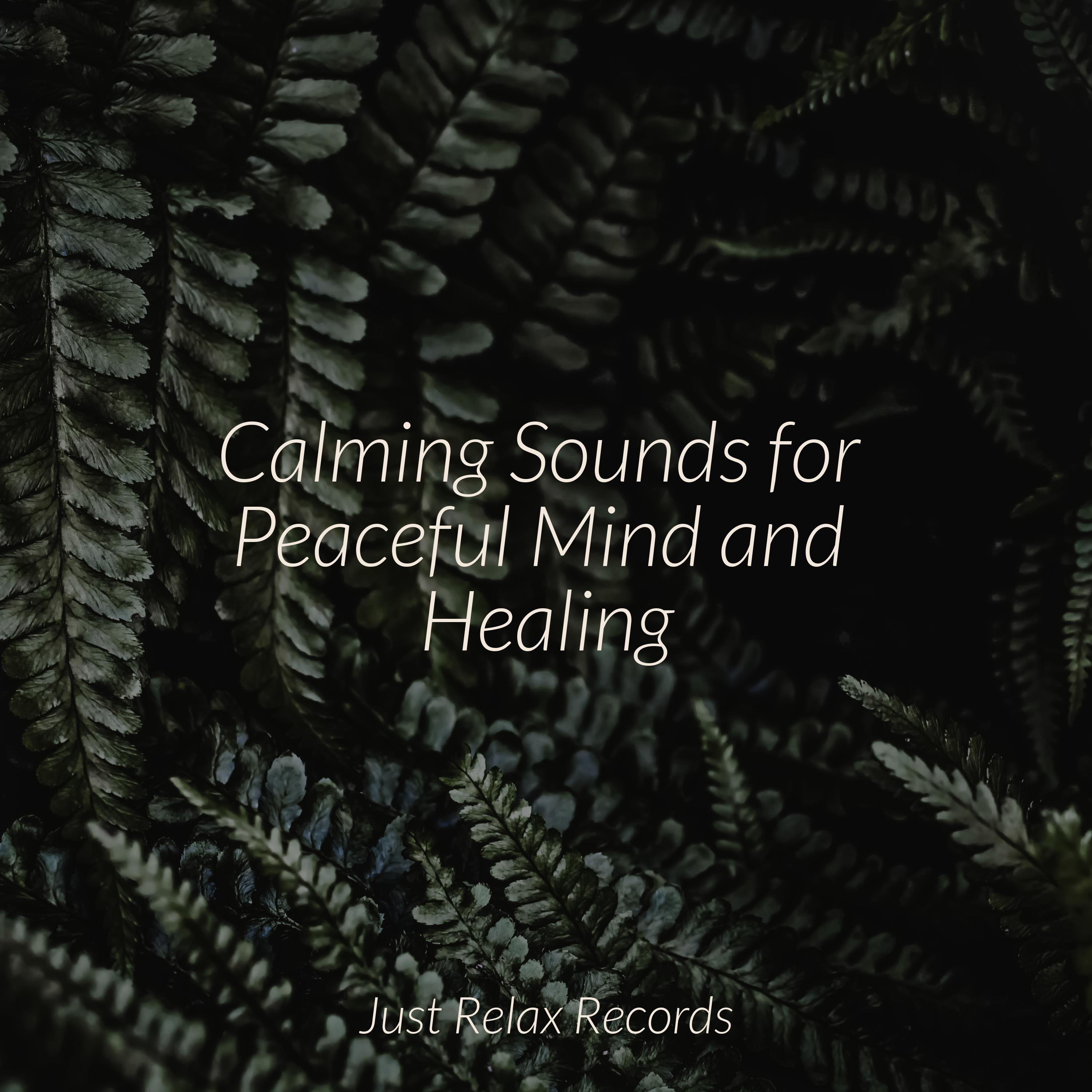 Melodic Rhapsody of Solitude - Spa & Spa/Meditation Spa/Deep Sleep ...