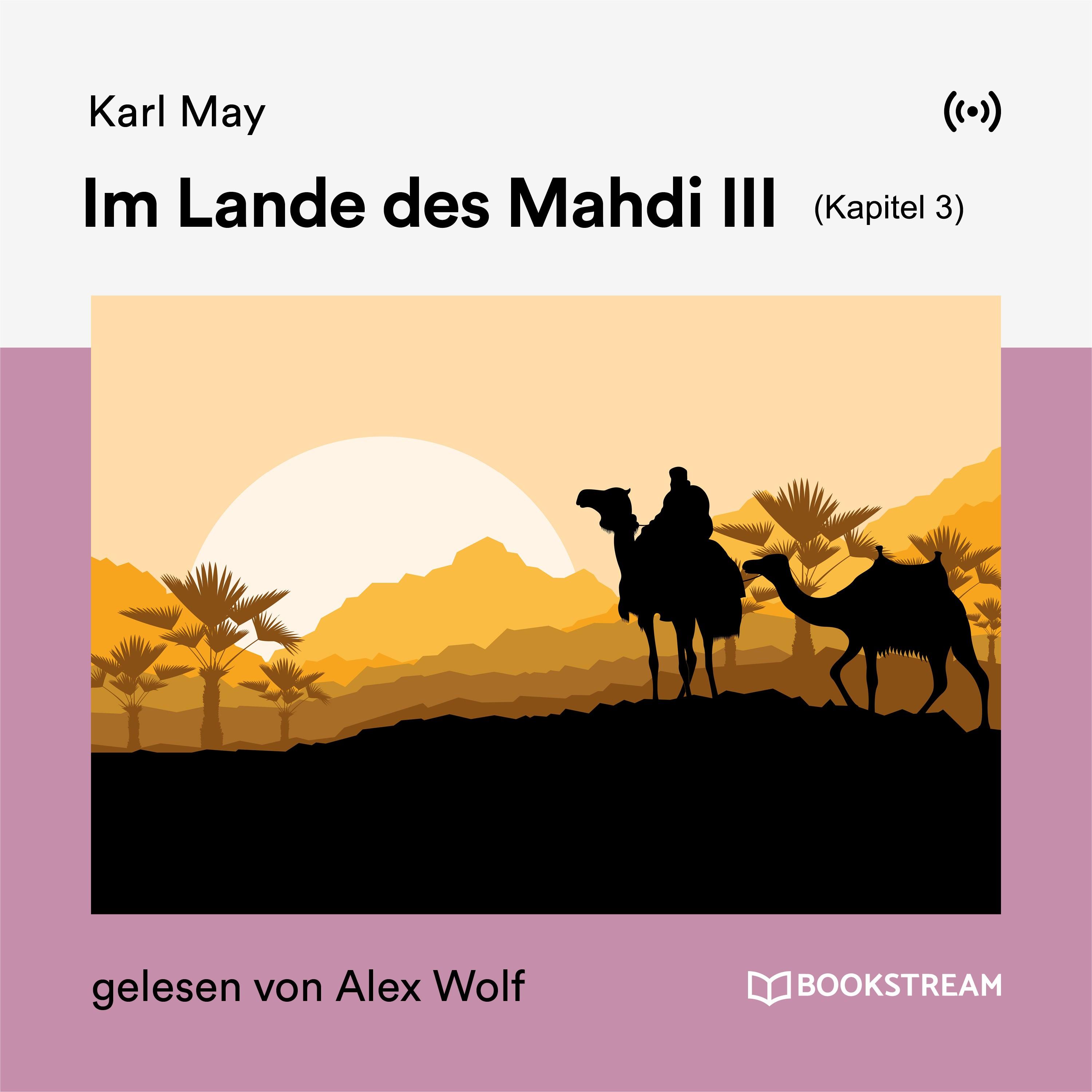 Kapitel 3: Tut wohl Denen, die Euch hassen! - Teil 118 - Karl May/Alex ...