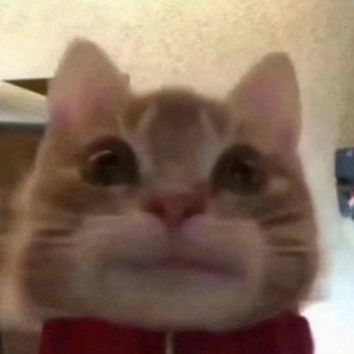 snug purple skies - Chill Out Music Mix - 电台节目 - 网易云音乐