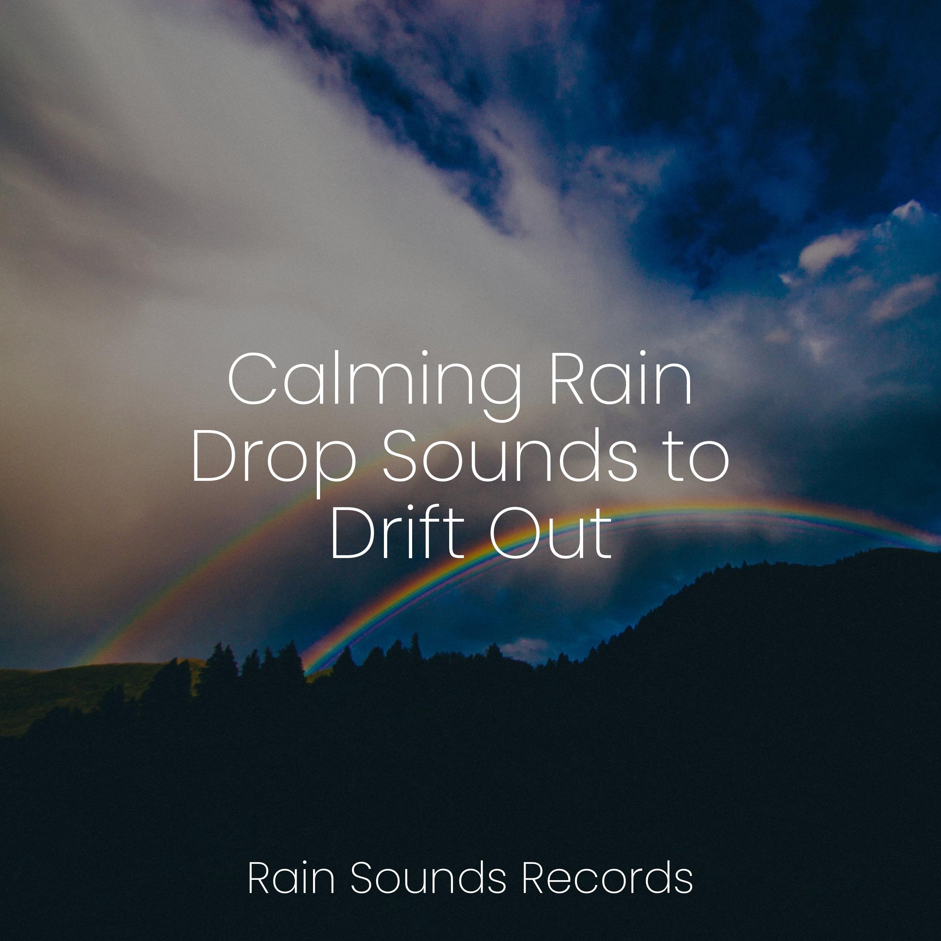Calming Rain Drop Sounds to Drift Out - Relaxing Mindfulness Meditation ...