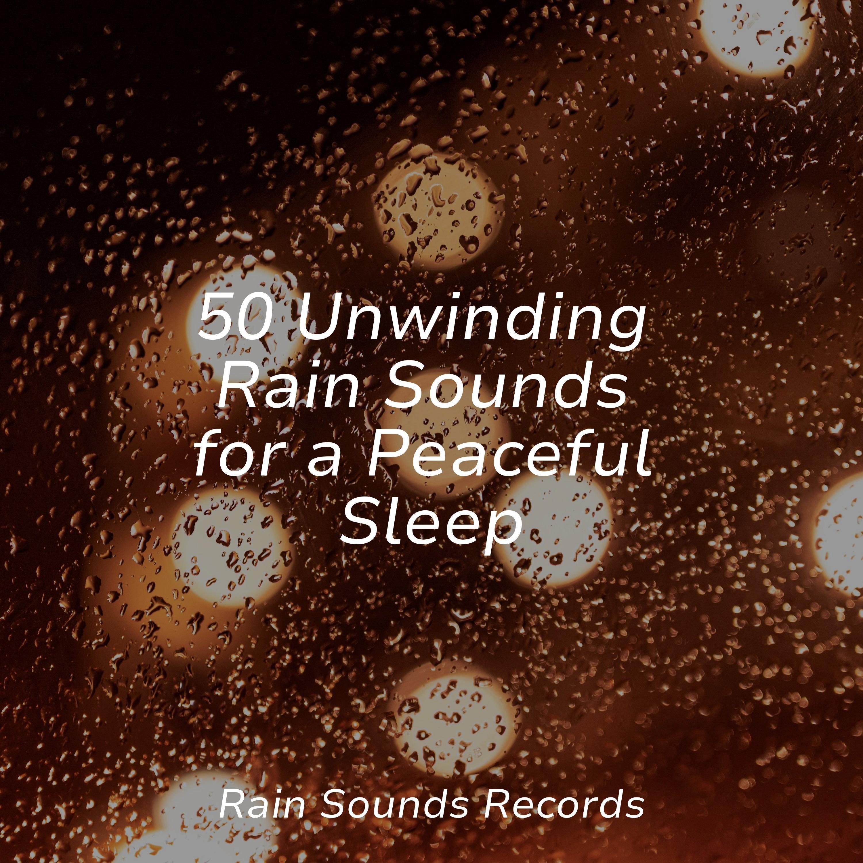 50 Unwinding Rain Sounds for a Peaceful Sleep - Meditation Spa - 专辑 - 网易云音乐